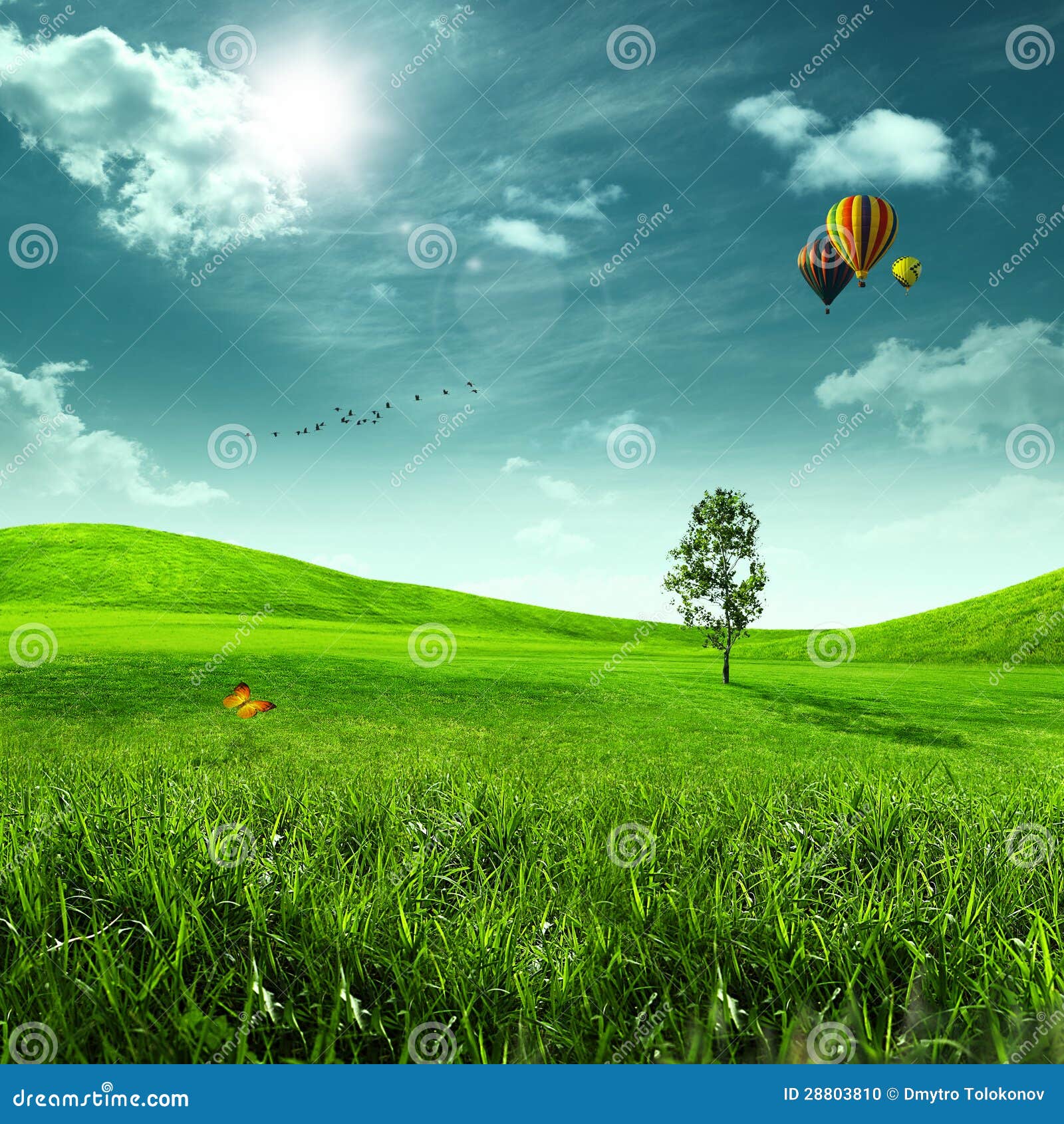 Beauty meadow stock photo. Image of lush, heaven, butterfly - 28803810