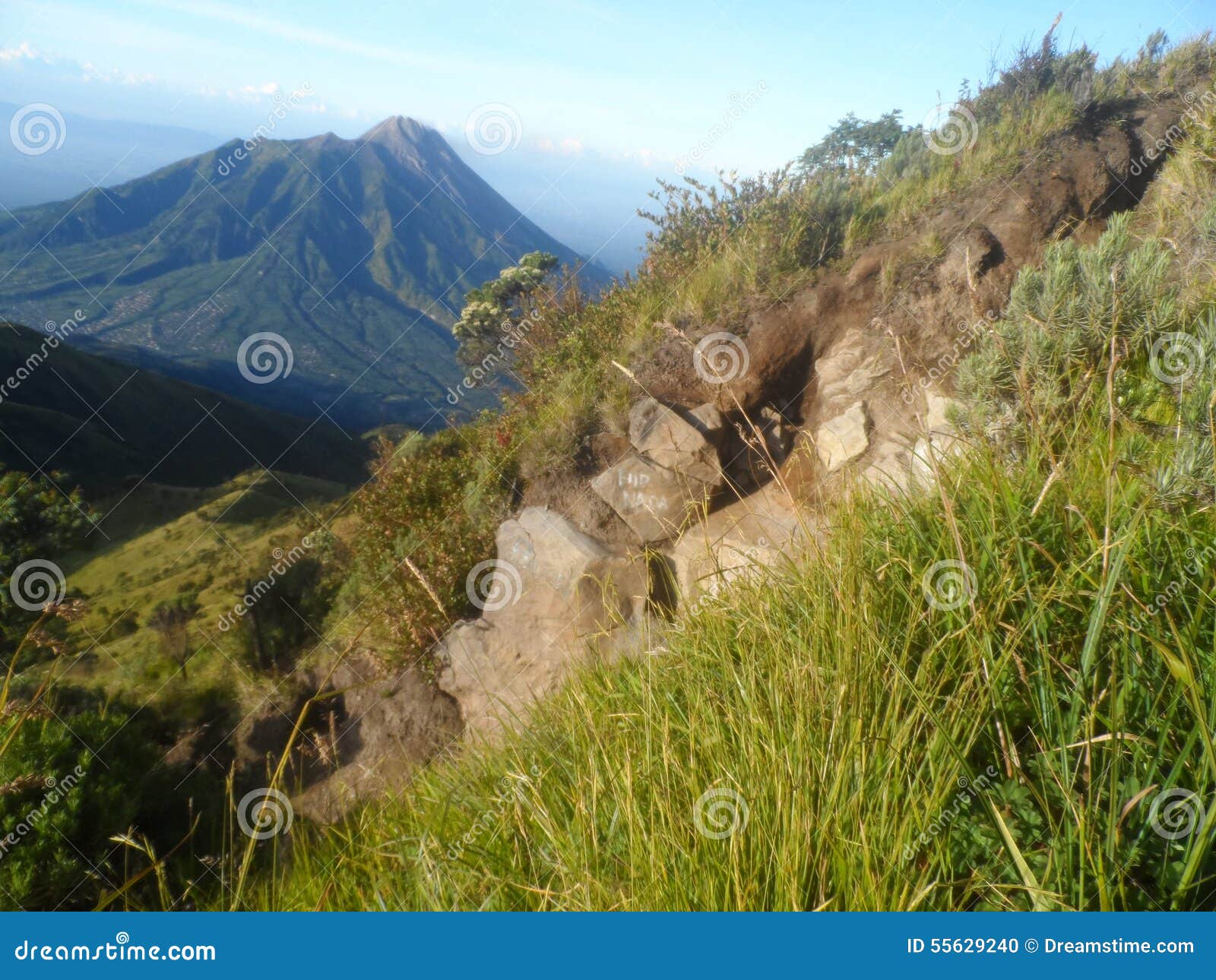 The Beauty of Merbabu stock photo. Image of merapi, edelwis - 55629240