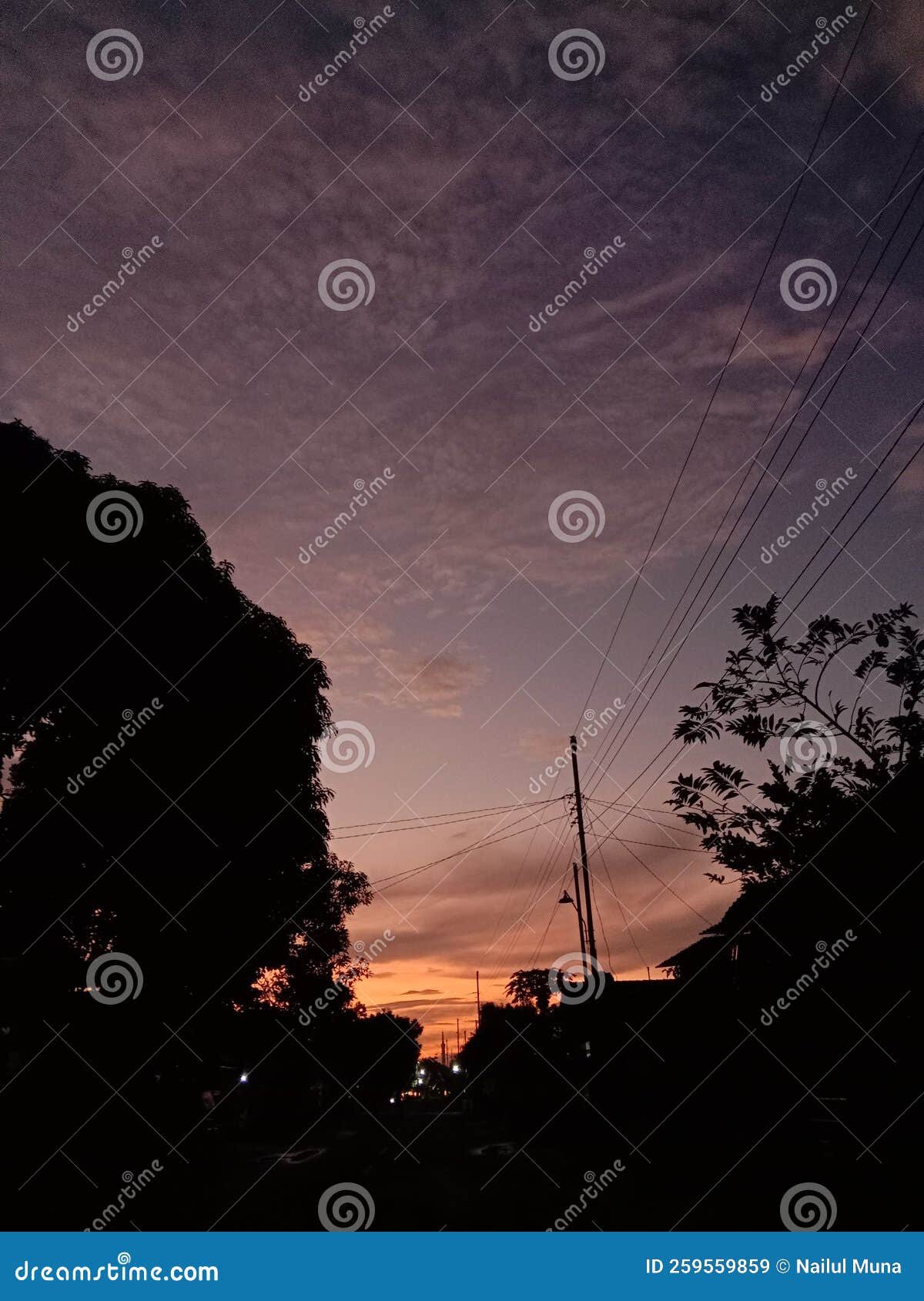 Tree and Sky in the Park at a Beautiful Day Time Stock Image - Image of ...