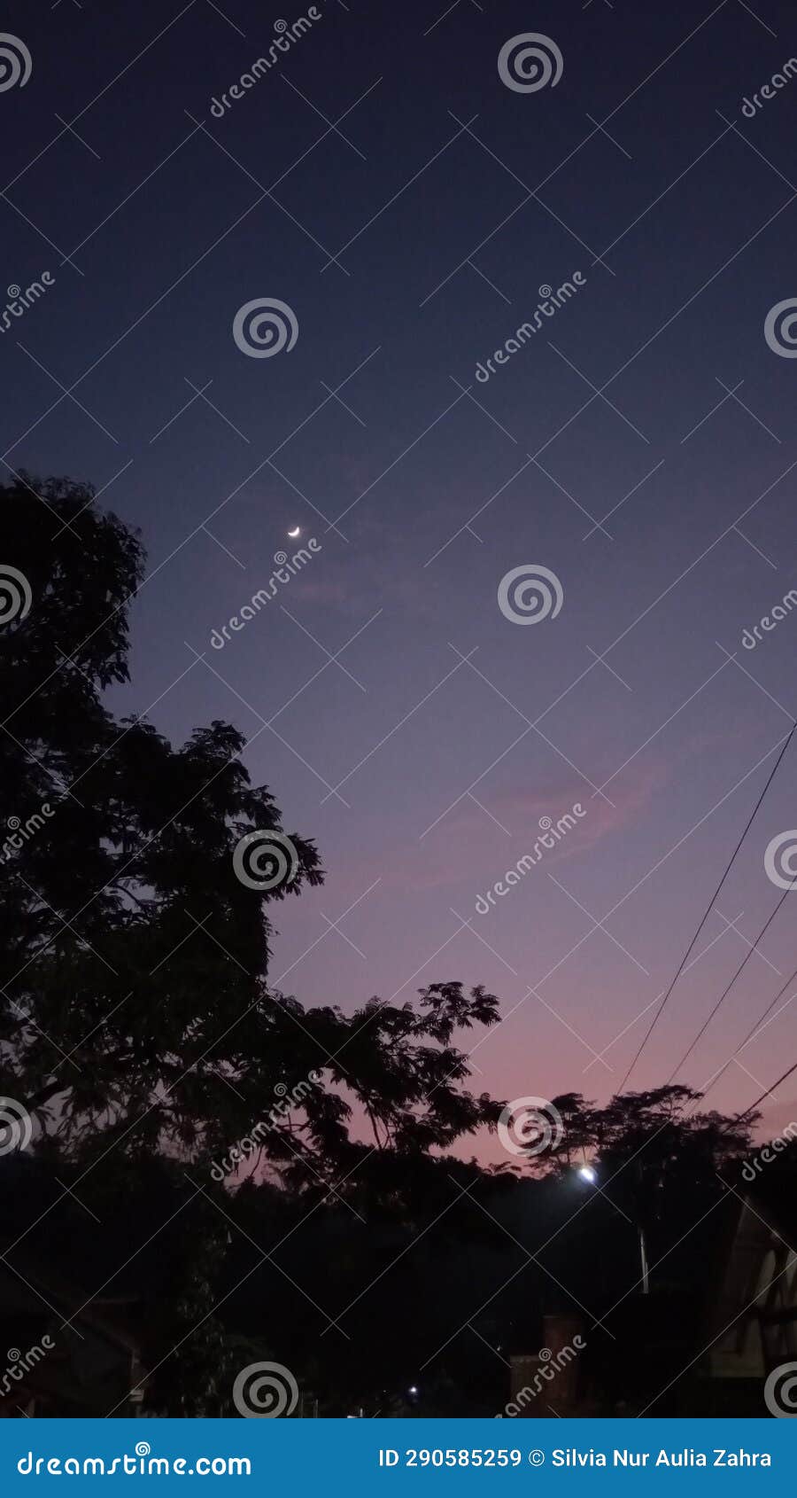 The Beauty of the Moon in the Morning with a Pink Sky Stock Image ...