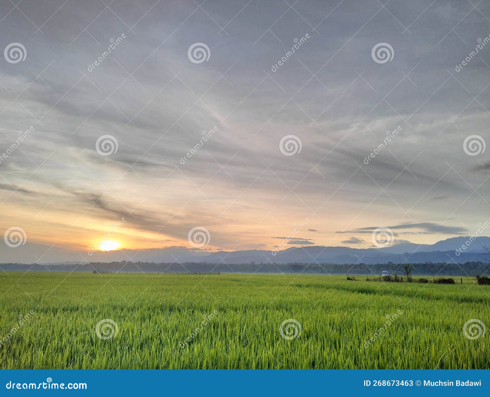 The Beauty of the Morning Sun from the Corner of the House Stock Image ...