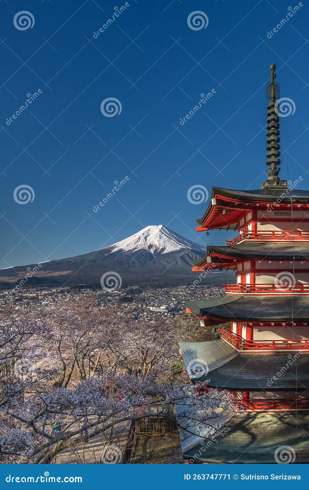 Beauty of Mount Fuji in Spring Stock Image - Image of evening, tree ...