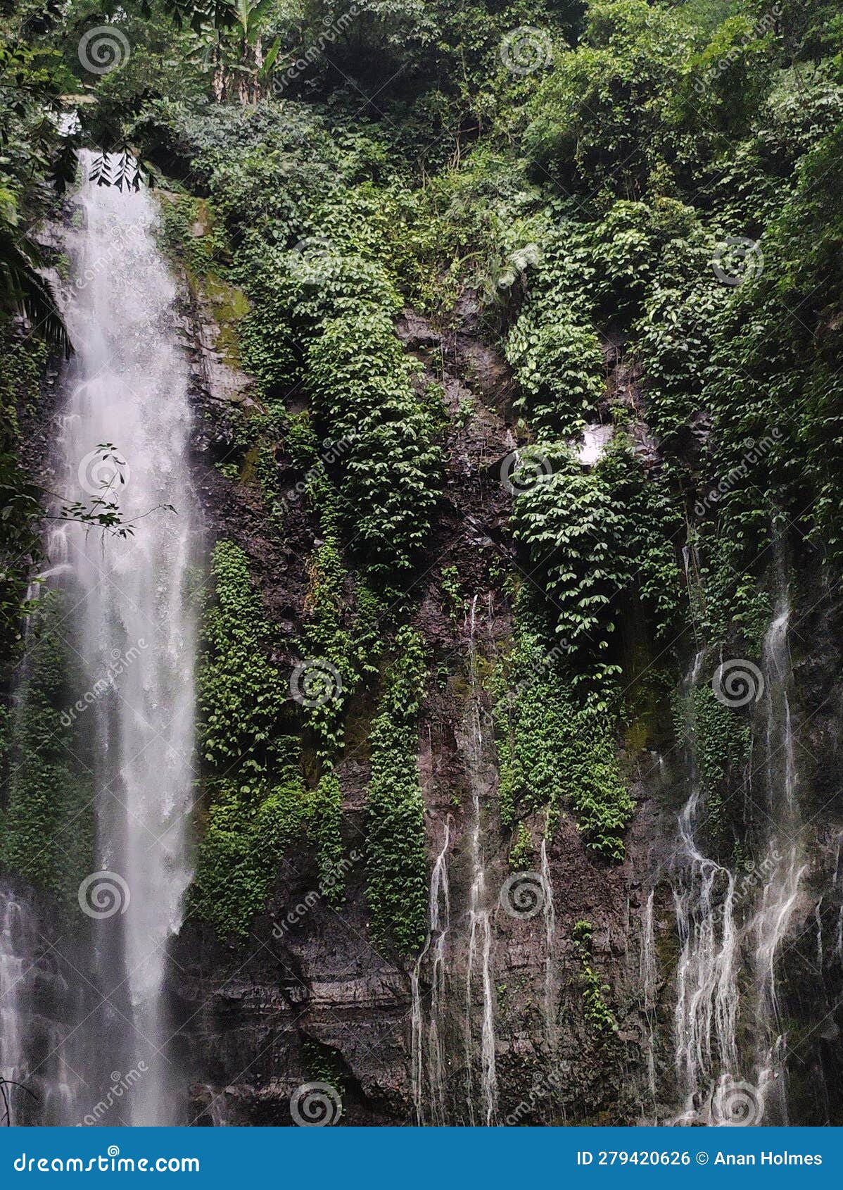 The Beauty of Mount Ungaran Waterfall with Clear Water Surrounded by ...