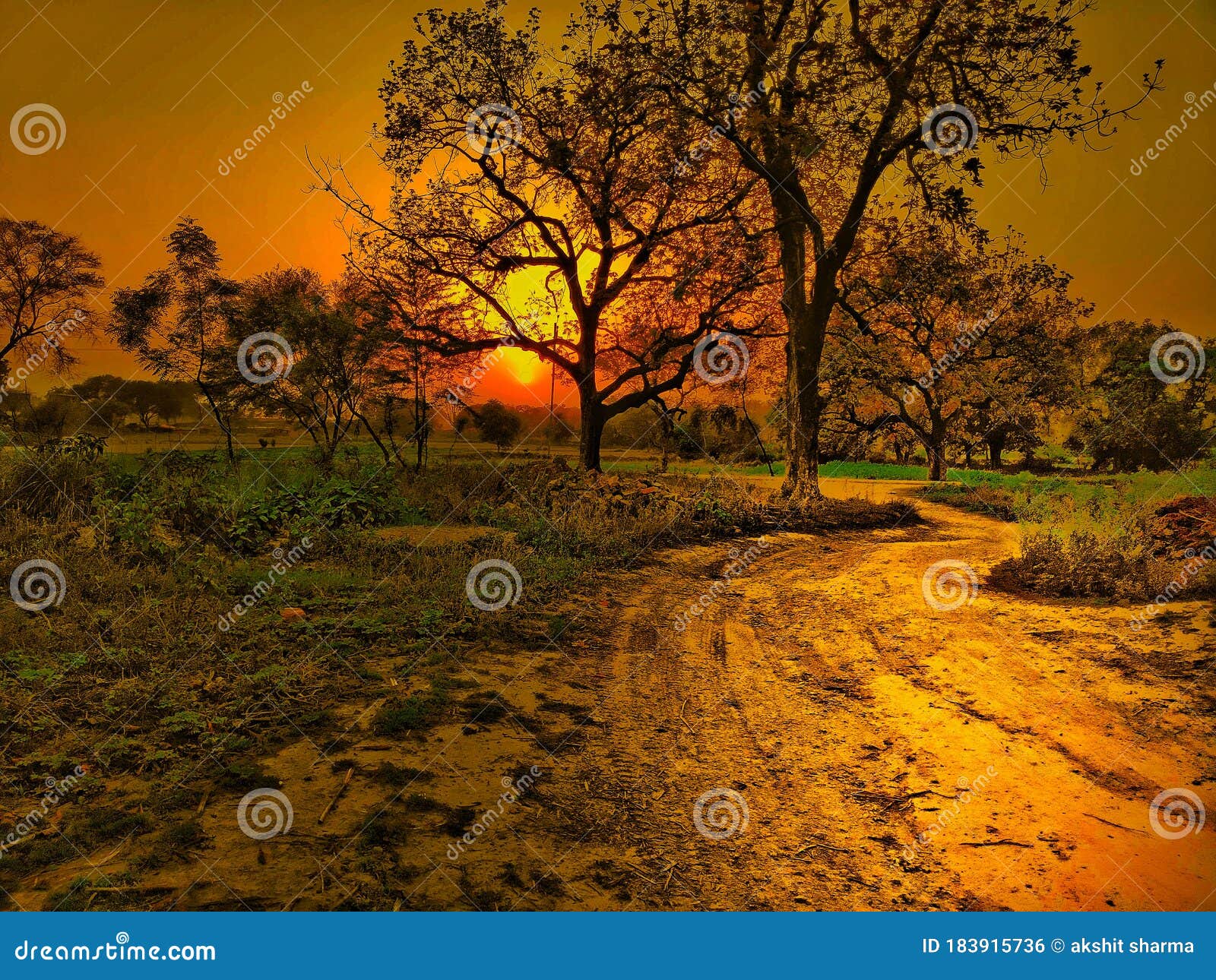 Beauty of natural glow stock photo. Image of morning - 183915736