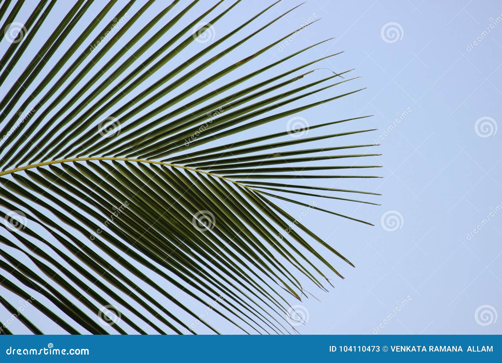 Beauty in nature stock image. Image of pleasantness - 104110473