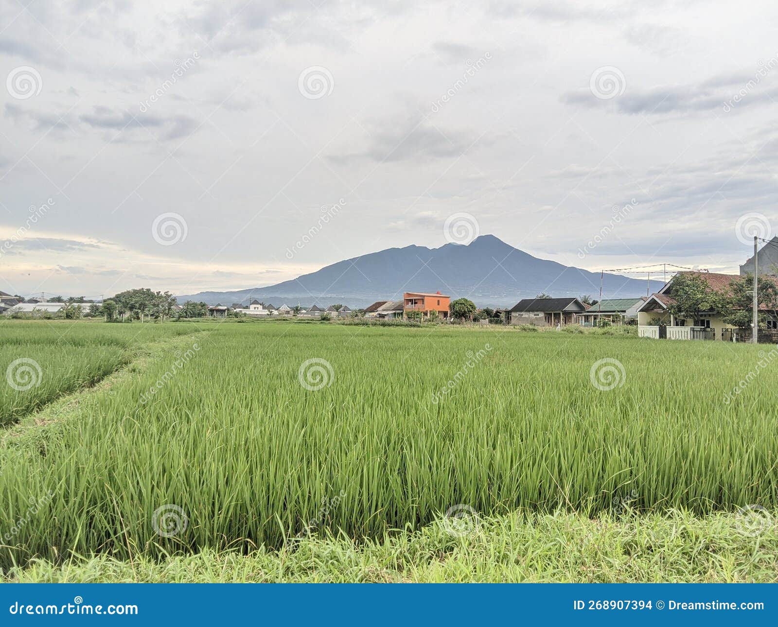 The Beauty of a Mountain in a Village in the City of Bogor Stock Photo ...
