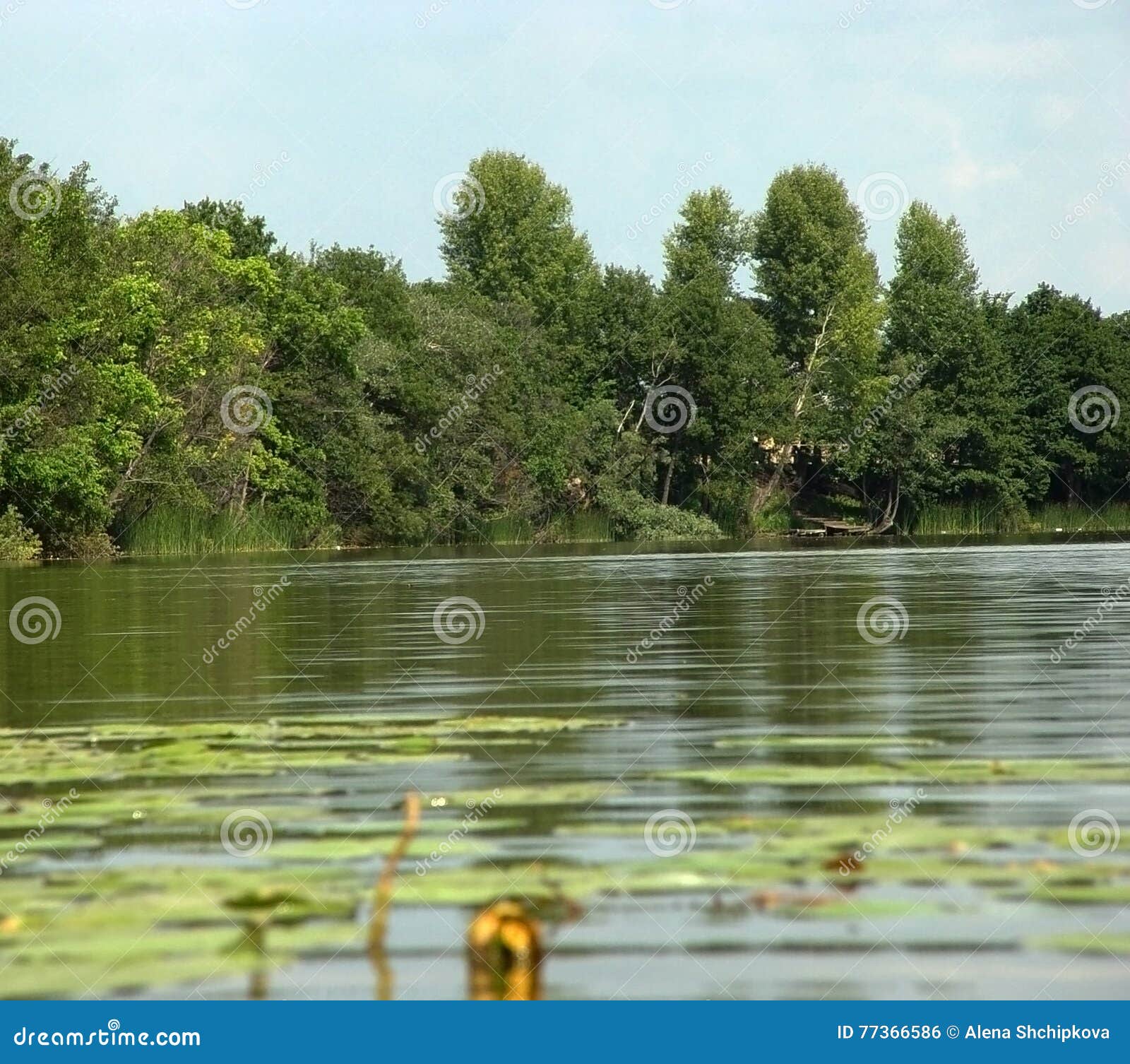 The beauty of nature stock photo. Image of road, picnic - 77366586