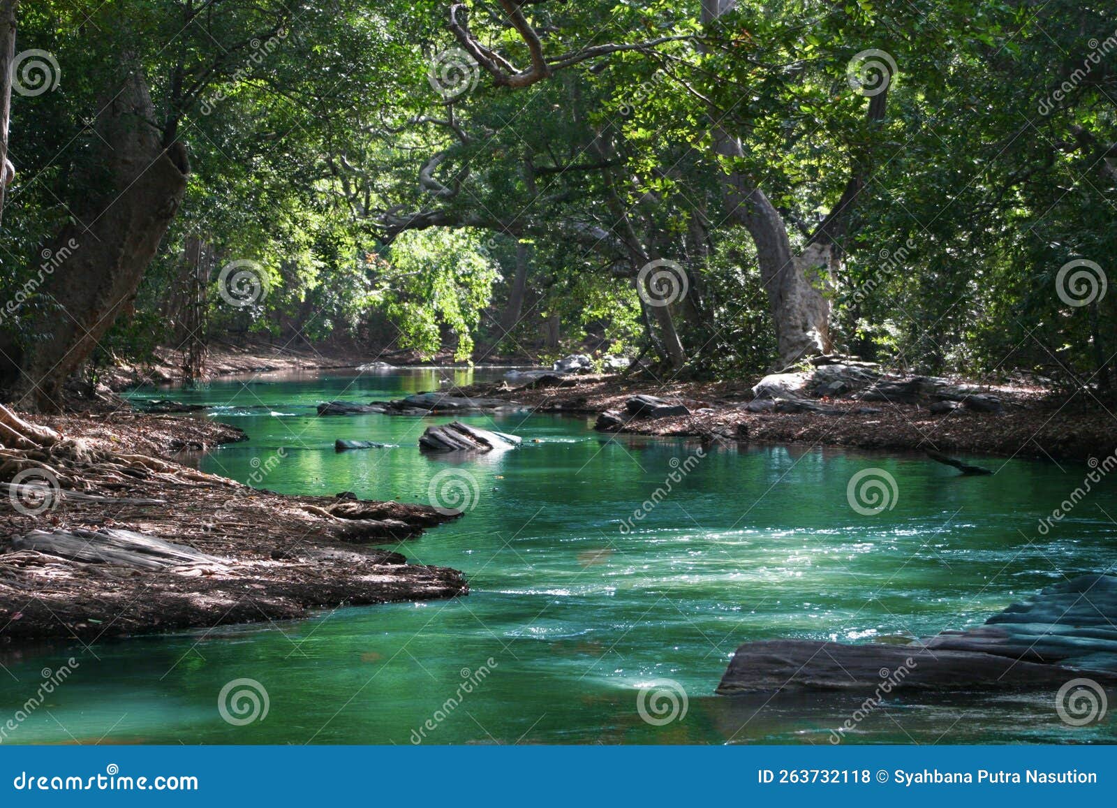 The Beauty of Nature and Rivers in Indonesia Stock Photo - Image of ...