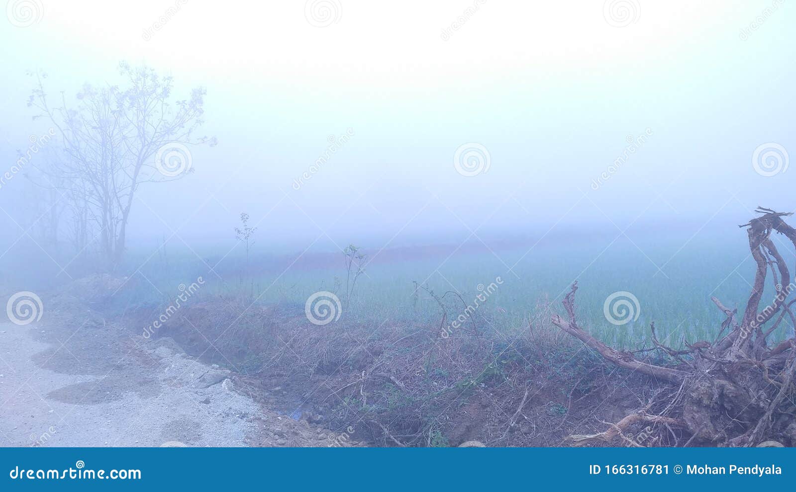 Beauty of the Nature Winter Smoke Cool Nature Stock Image - Image of ...