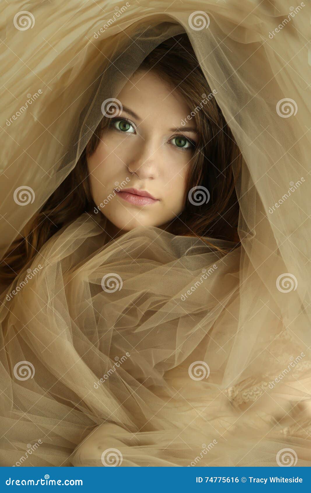 Beauty in netting stock photo. Image of mood, long, green - 74775616