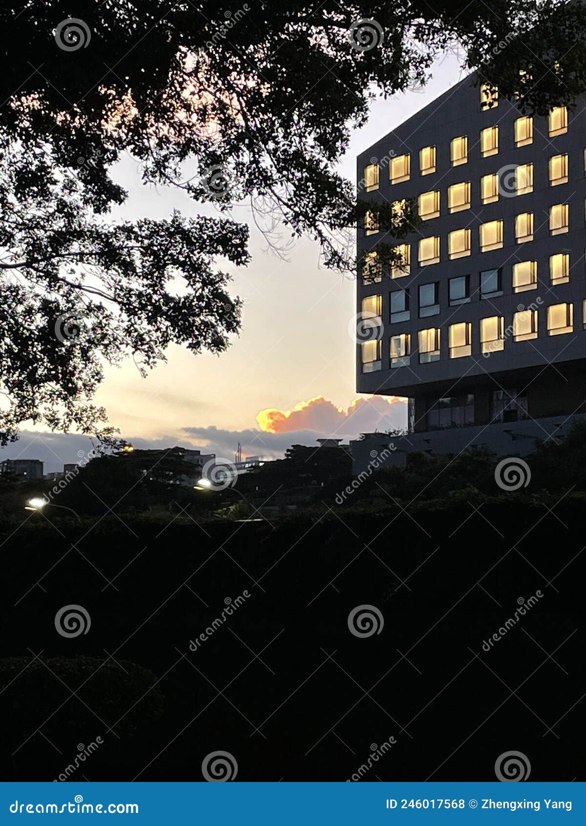Architecture in the sunset stock photo. Image of modern - 246017568