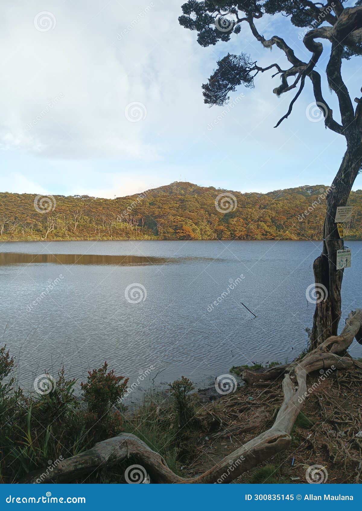 The Beauty of the Peak of Mount Singgalang in Sumatra, Indonesia ...