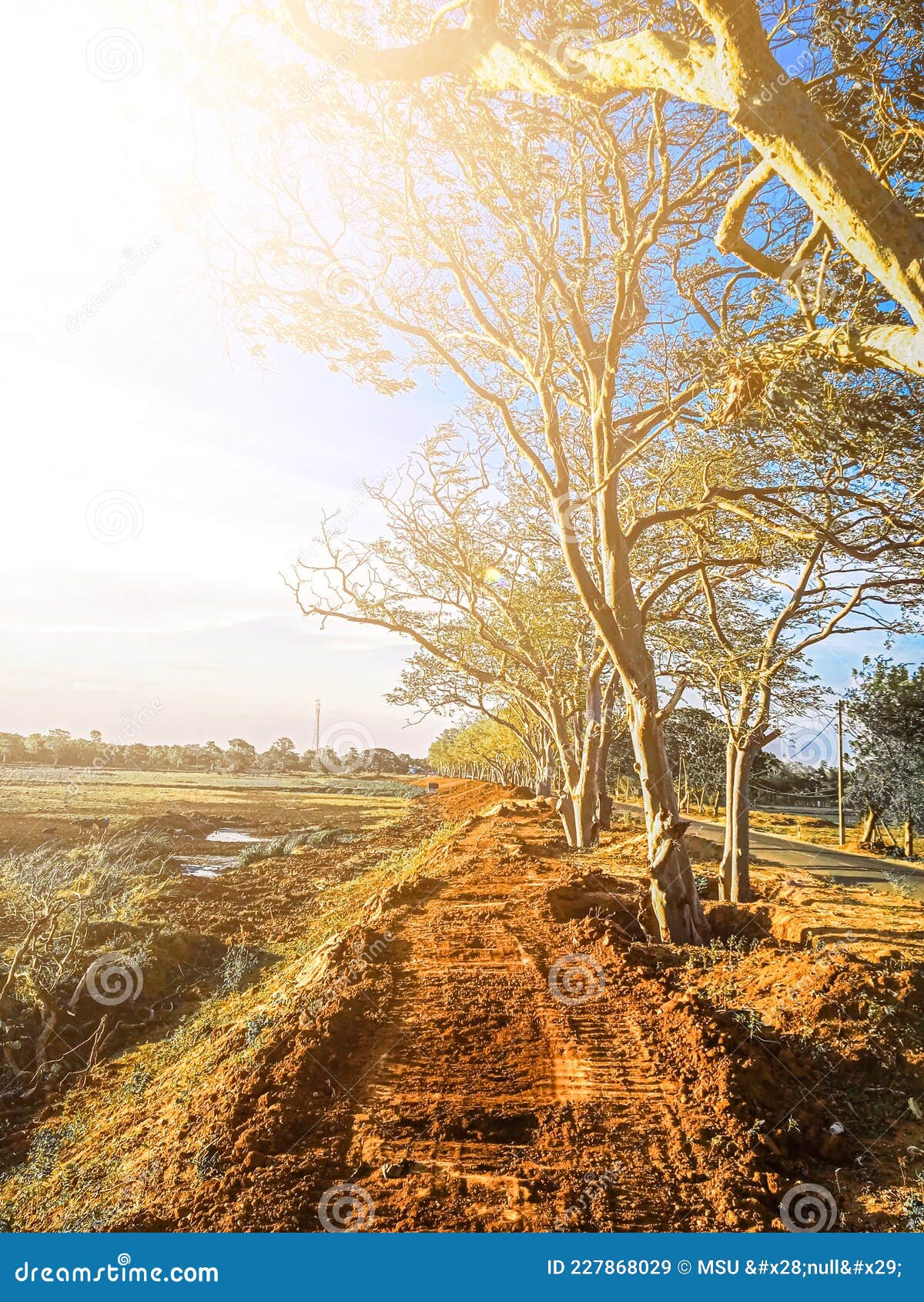 Beauty place stock image. Image of palace, tree, beautyplace - 227868029