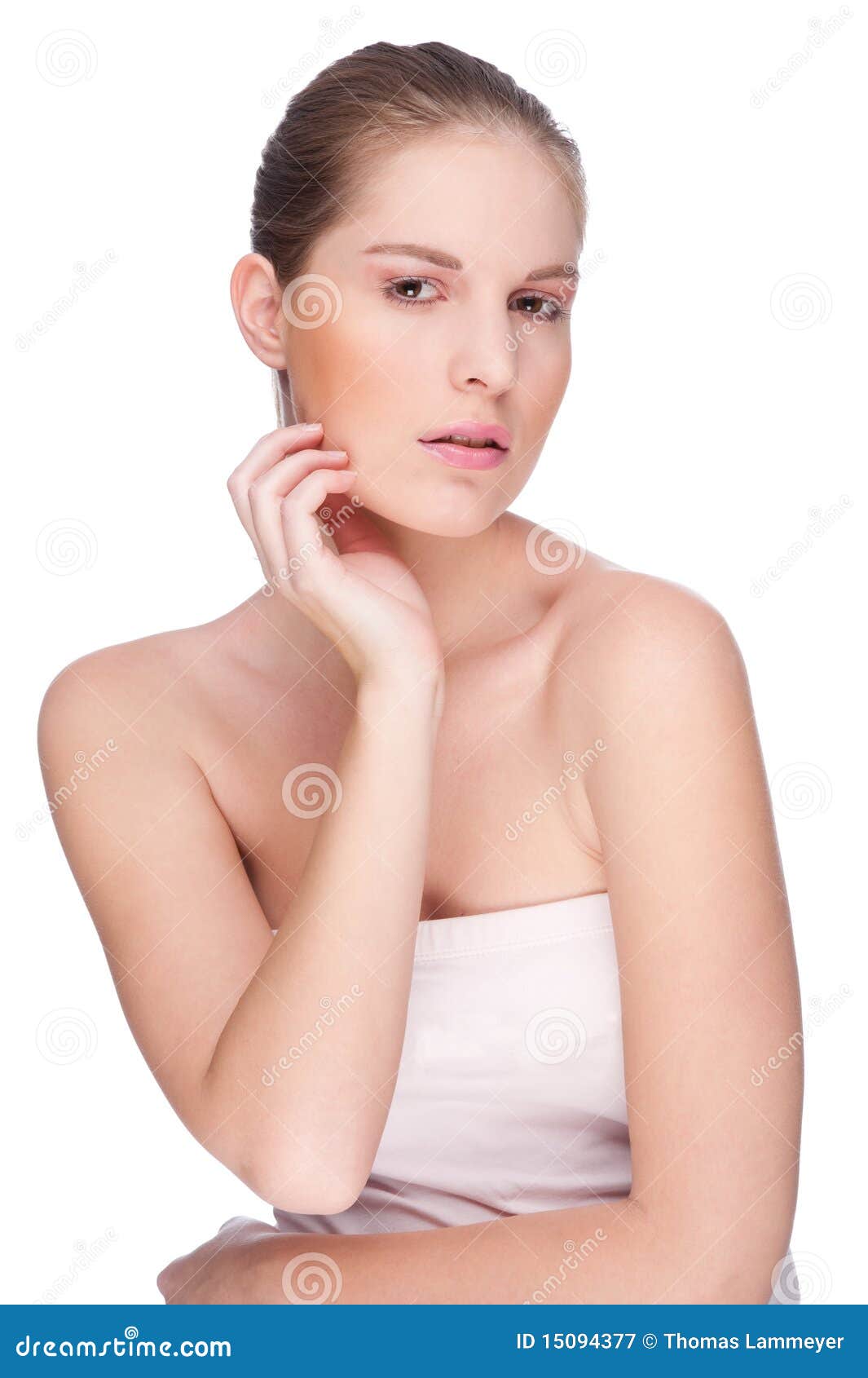 Beauty portait stock image. Image of isolated, gorgeous - 15094377