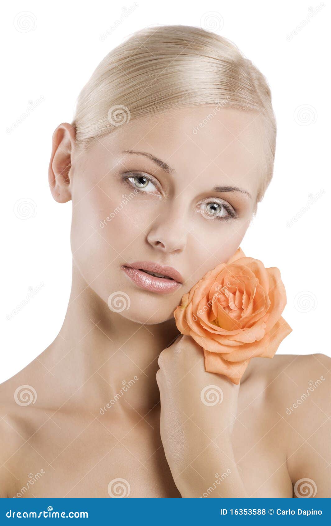 Beauty portrait with rose stock photo. Image of perfect - 16353588