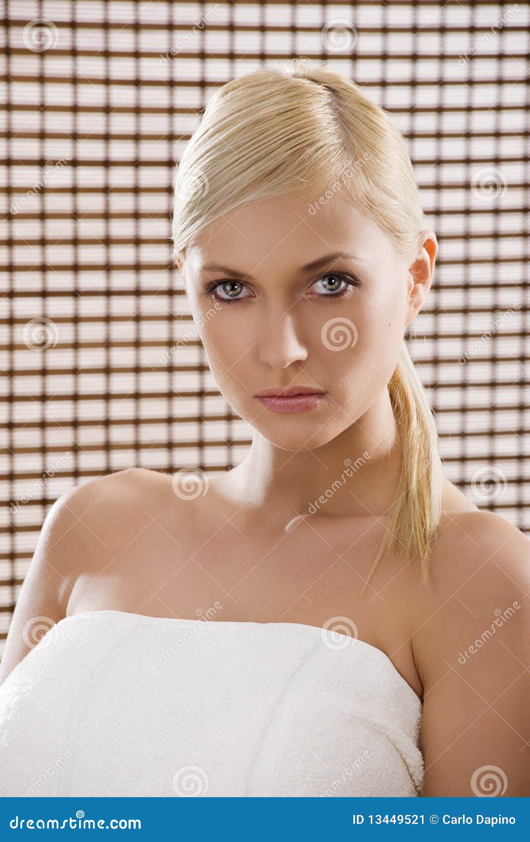 Beauty portrait in a spa stock image. Image of advertising - 13449521