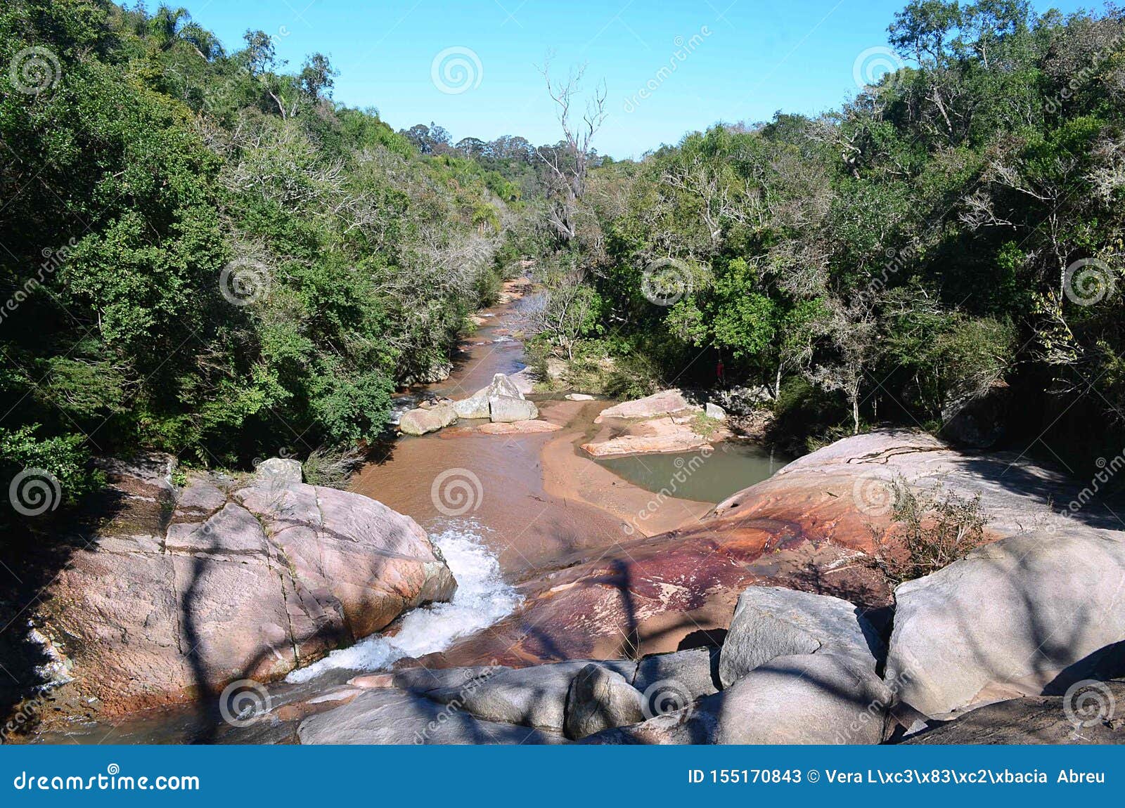A Beautiful River Running between the Trees Stock Image - Image of ...