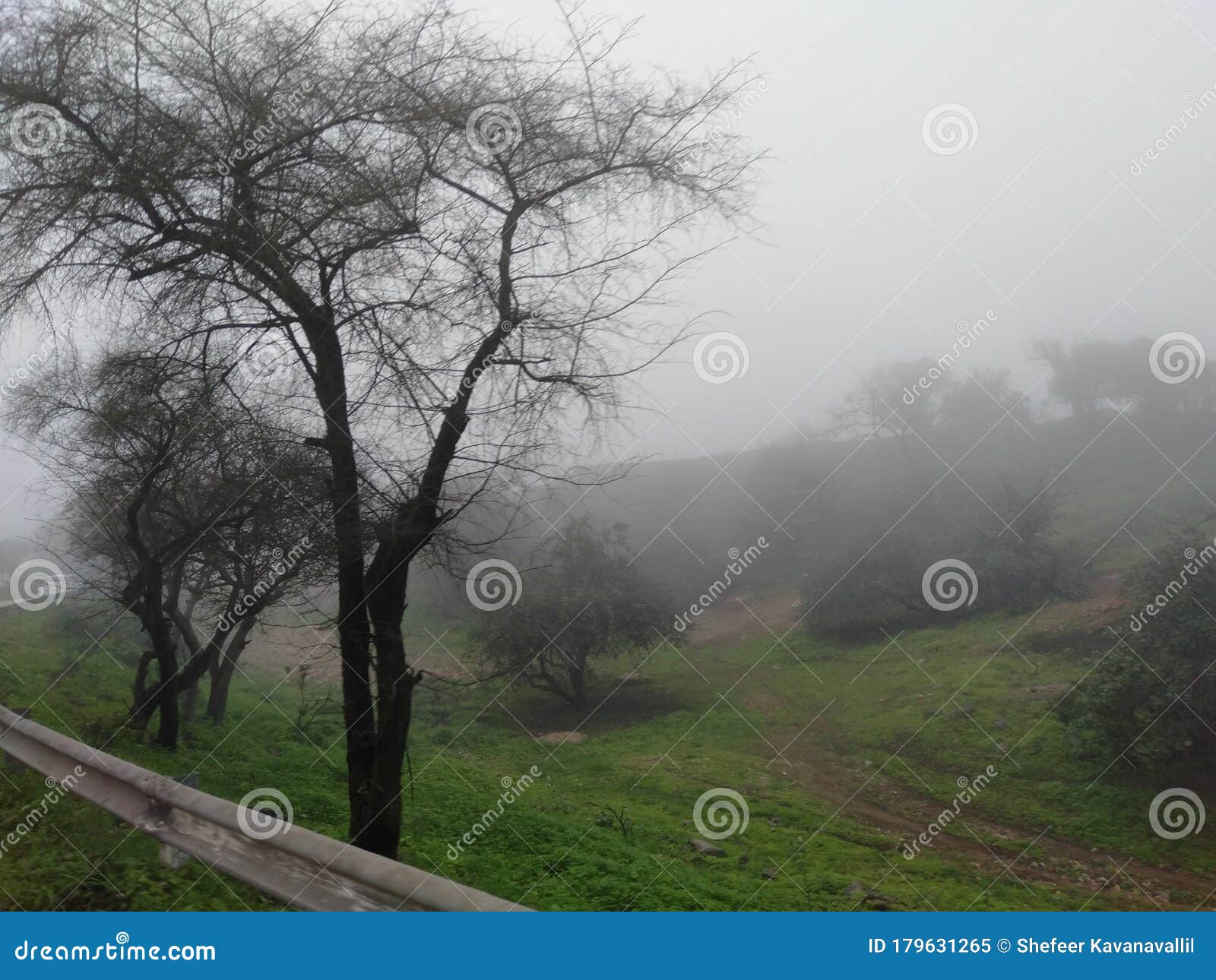 Beauty of salah stock image. Image of tree, hill, mist - 179631265