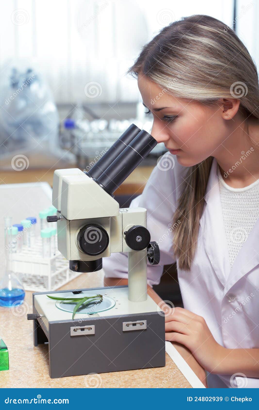 Beauty scientist stock image. Image of focus, looking - 24802939