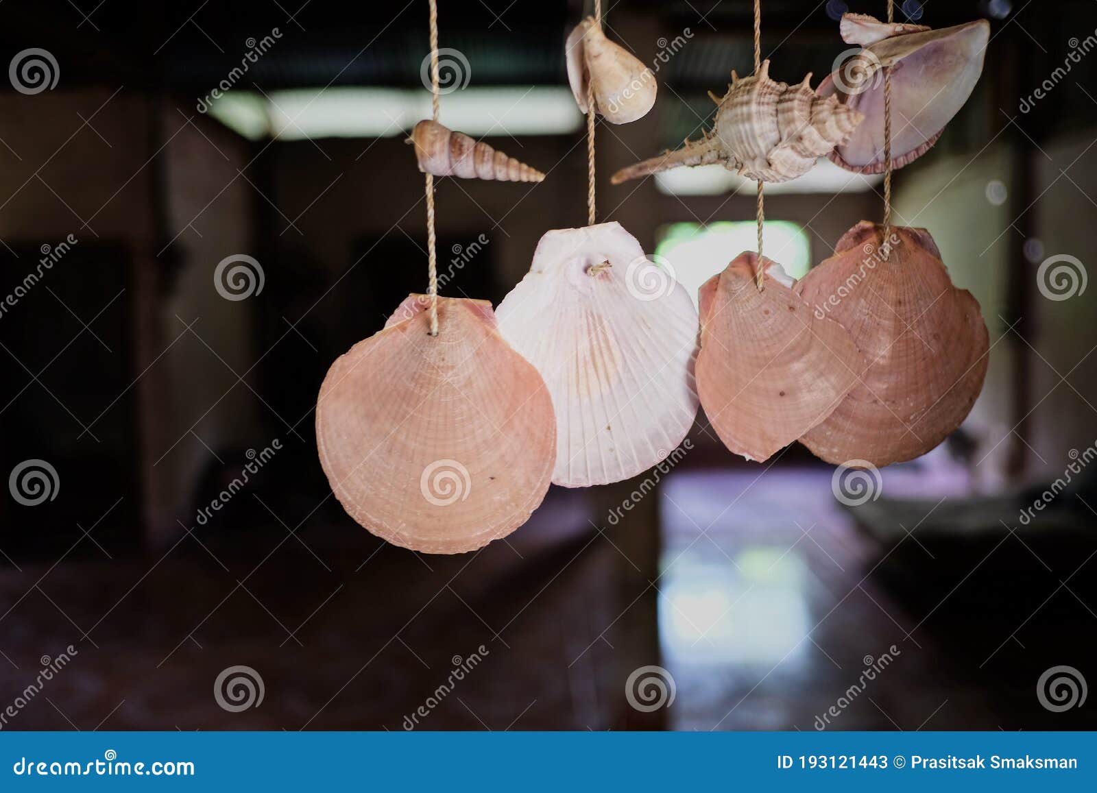 Shellfish with Black Background Stock Image - Image of window ...