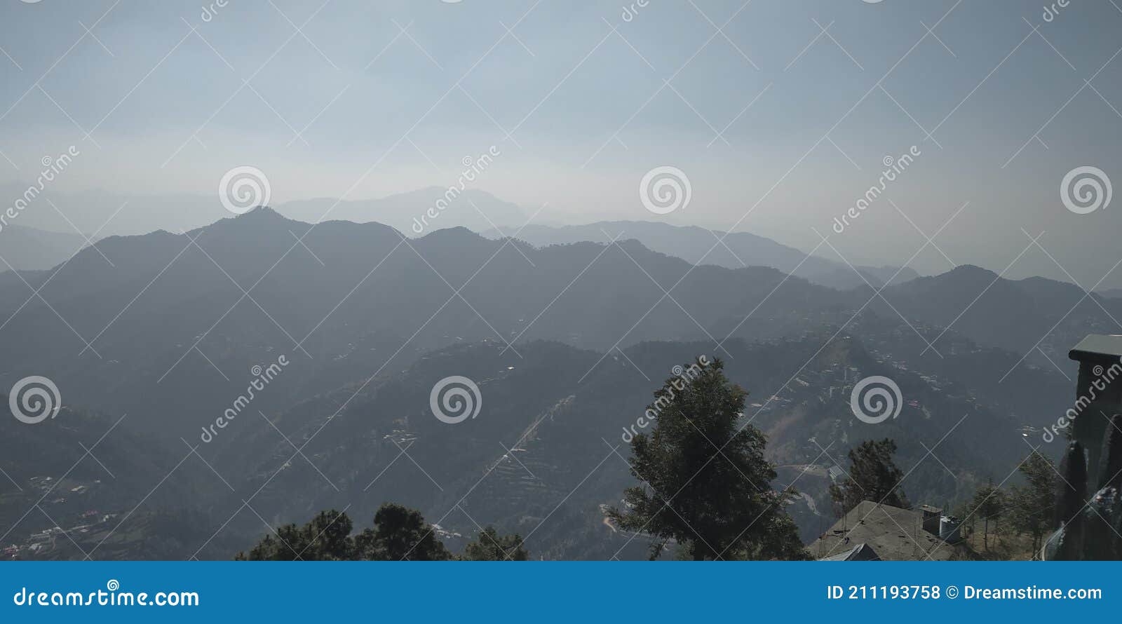 Beauty of Shimla stock photo. Image of tree, shimla - 211193758
