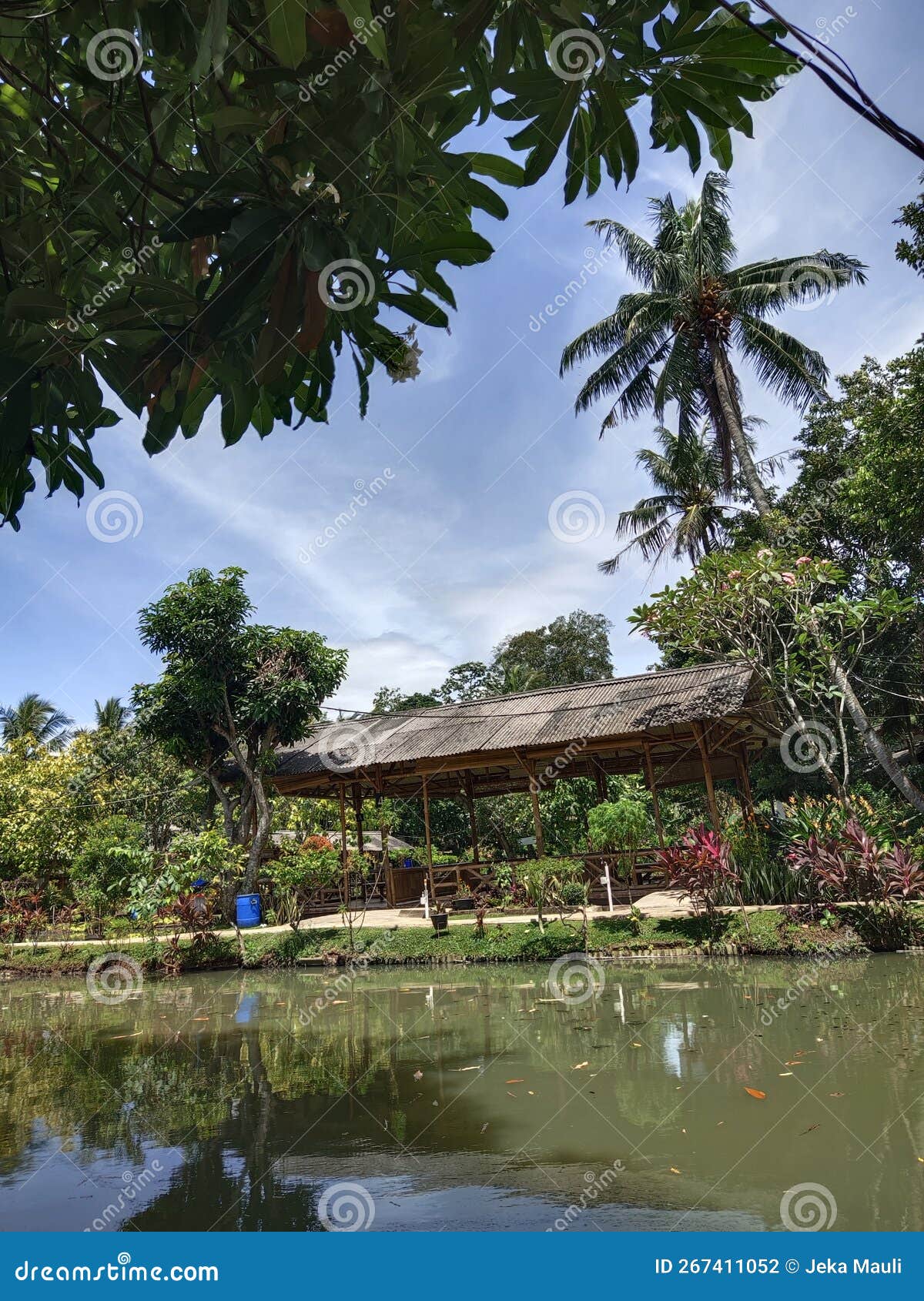 The Beauty of the Sky at Noon Stock Photo - Image of tree, reflection ...