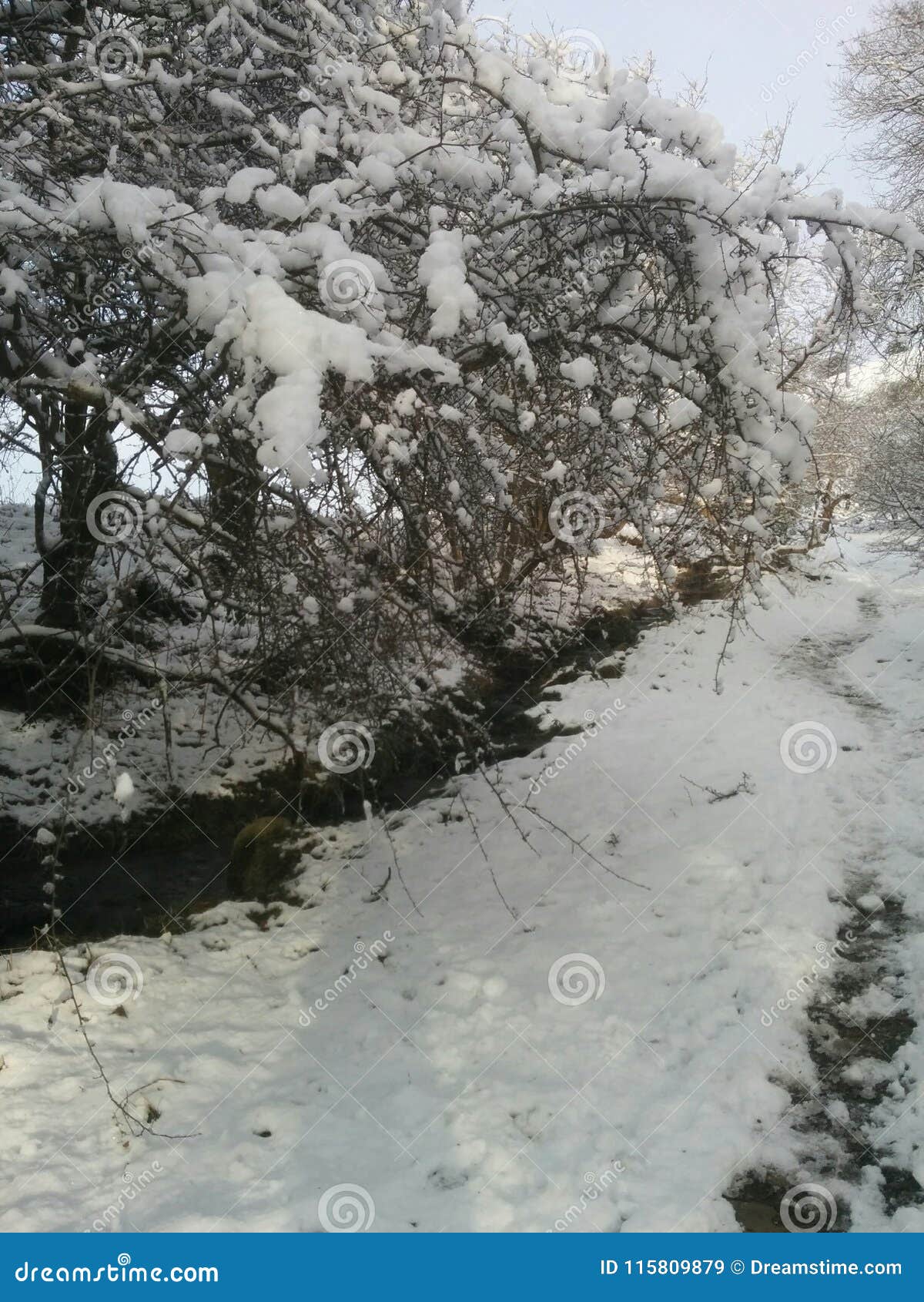 Early Snow stock image. Image of stream, beauty, early - 115809879