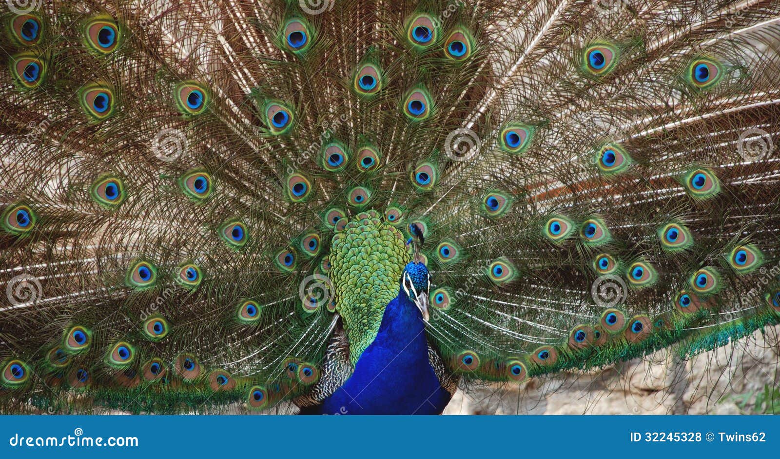 The beauty and splendor stock photo. Image of luxury - 32245328