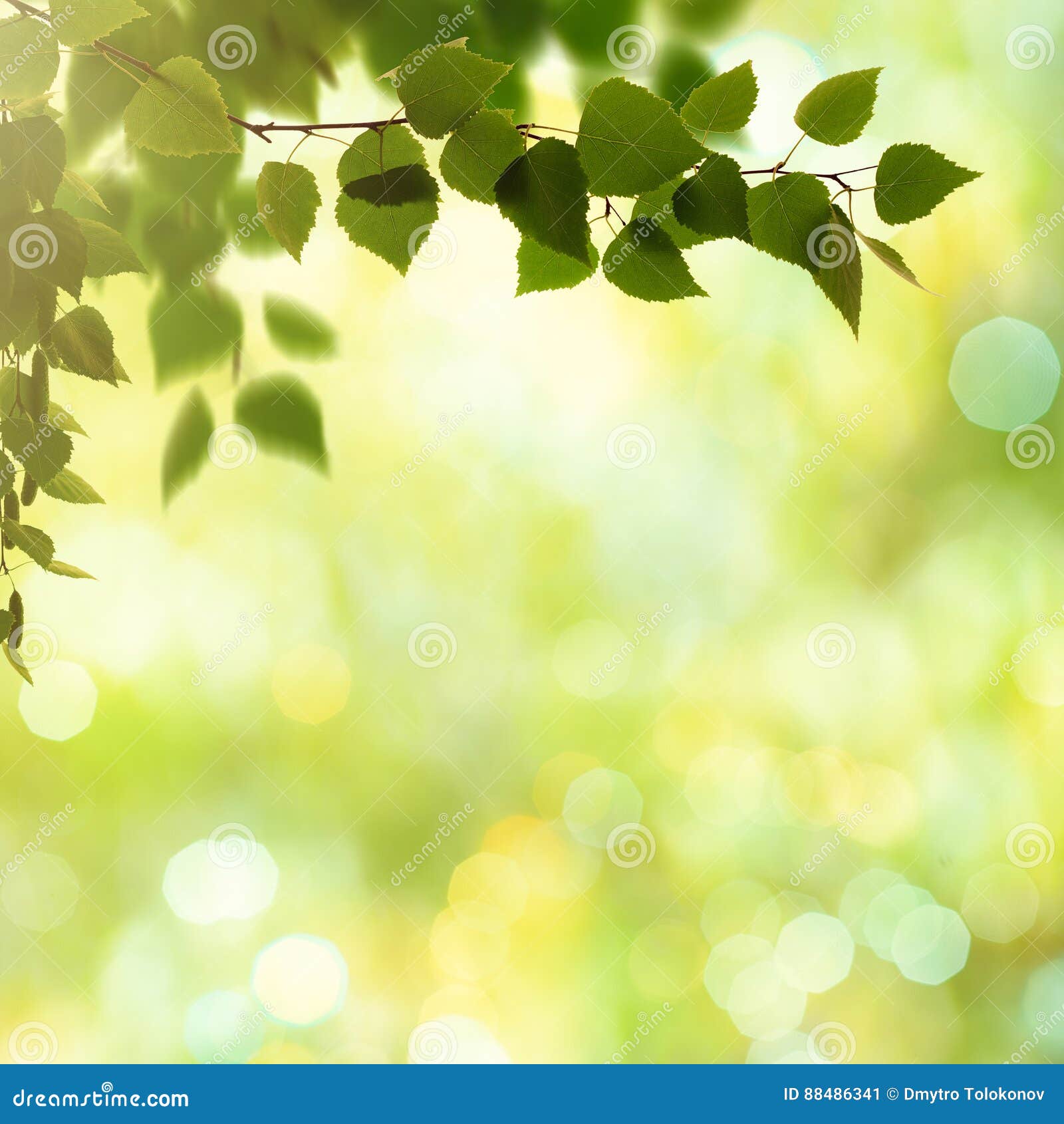 Beauty Spring and Summer Backgrounds Stock Image - Image of afternoon ...