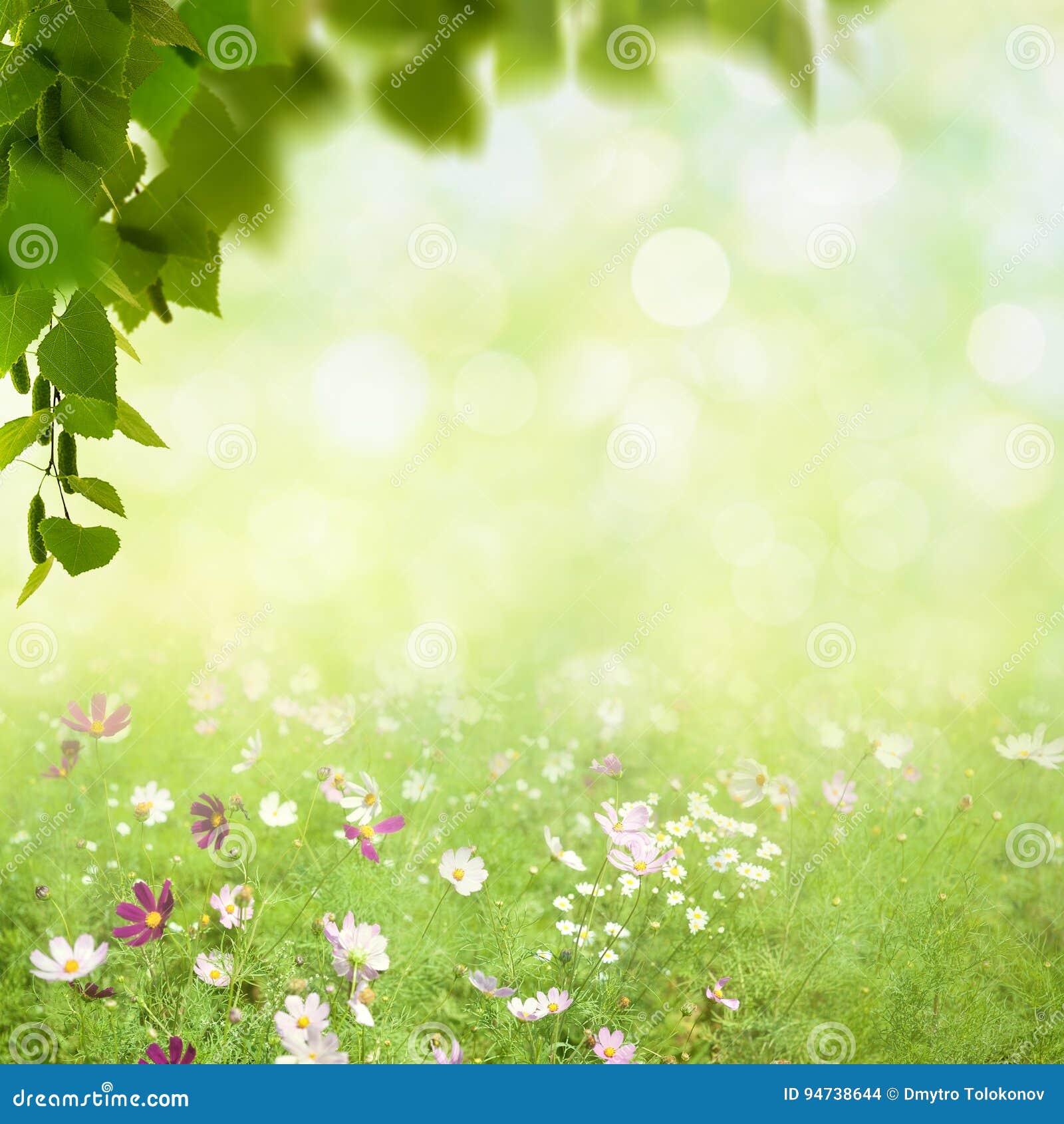 Beauty Spring and Summer Landscape Stock Photo - Image of noon ...