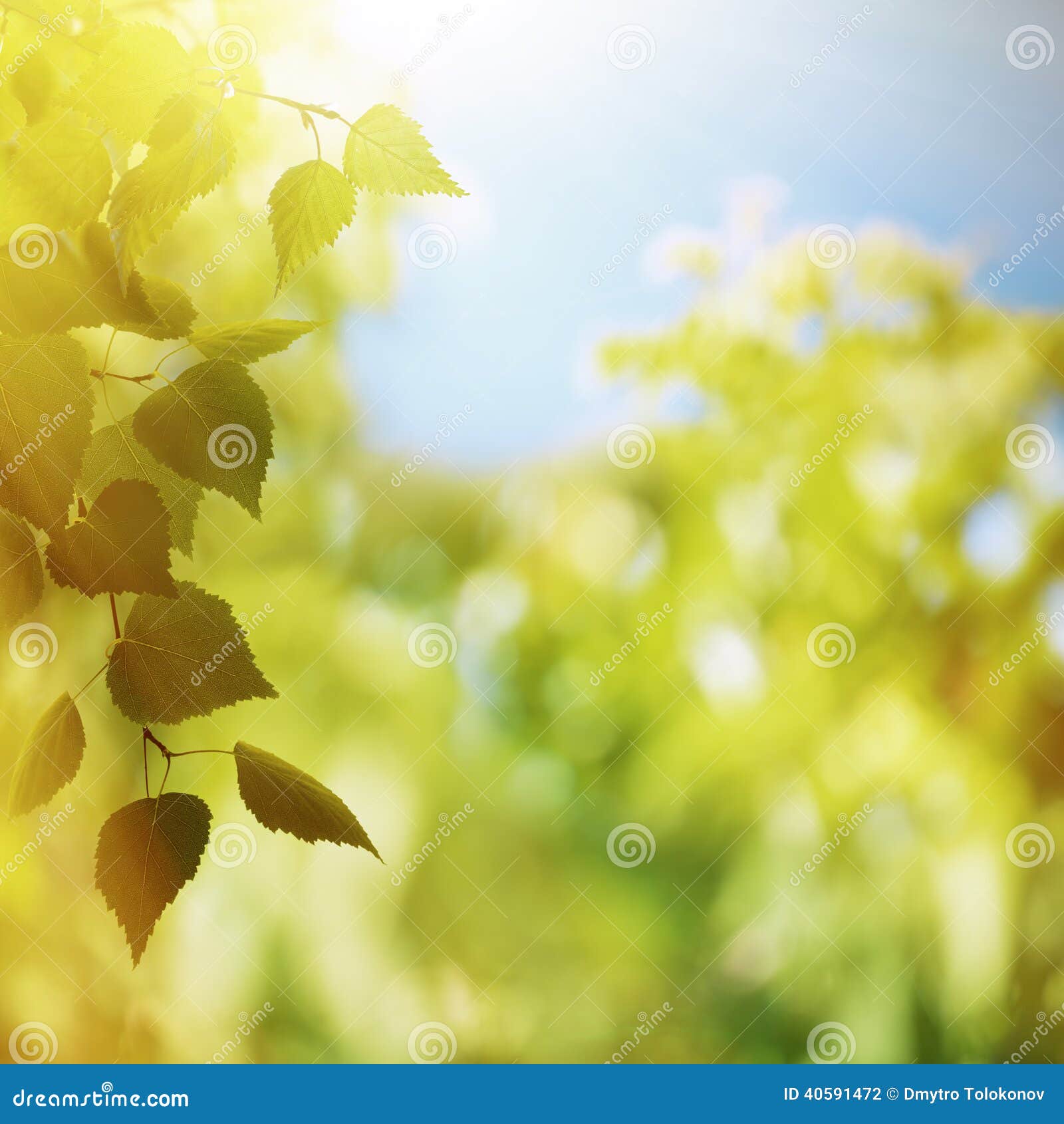 Beauty summer afternoon stock photo. Image of background - 40591472