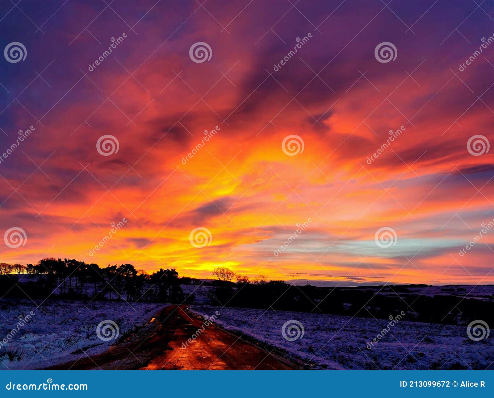 The beauty of sunset stock photo. Image of afterglow - 213099672