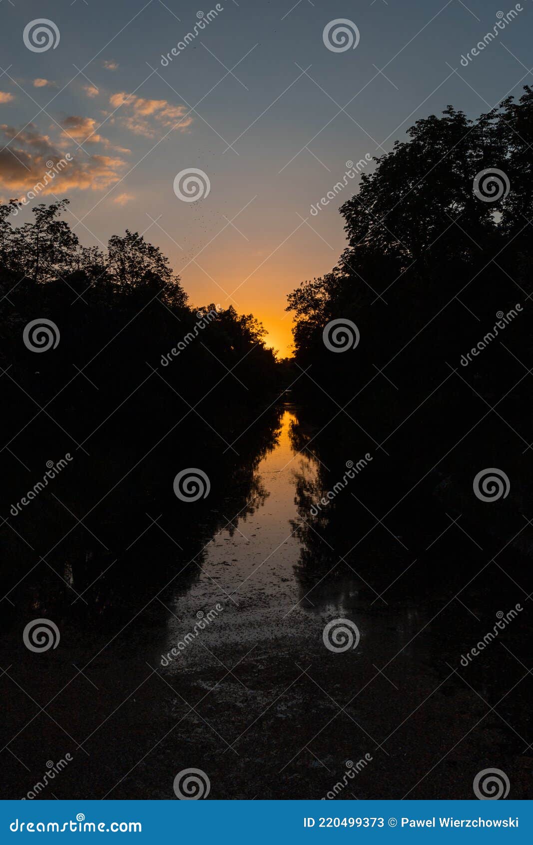 Beauty Sunset Over Small River between High Trees Stock Image - Image ...