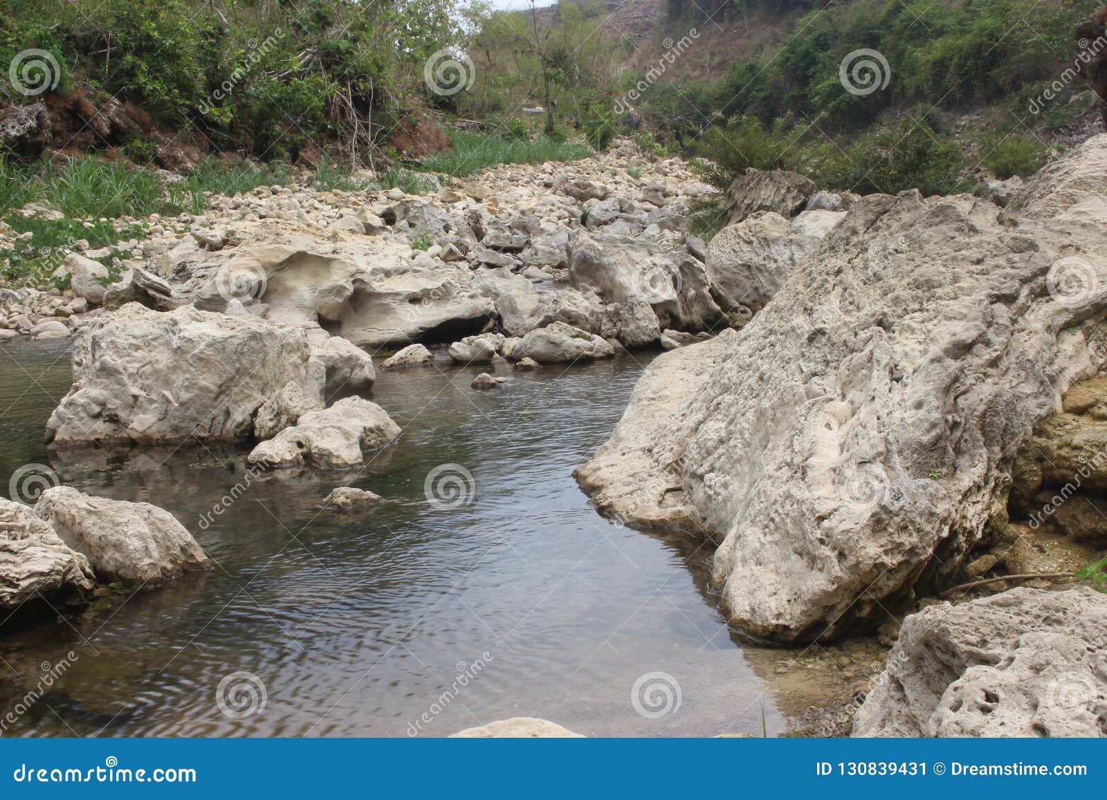 The Beauty of an Unpolluted River Stock Image - Image of backcground ...