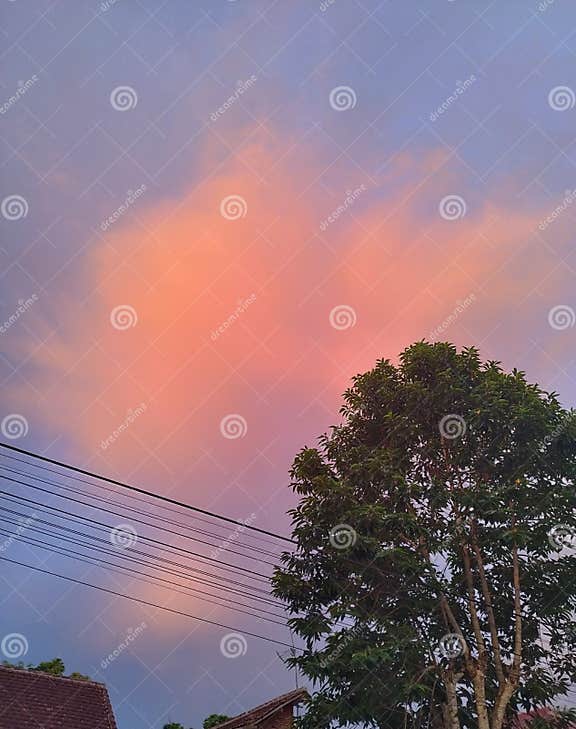 The Beauty of the View of the Twilight Sky with Trees?? Stock Photo ...