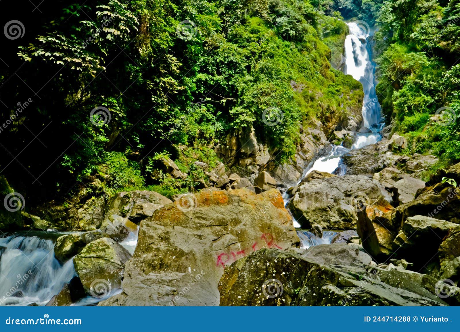Scenic View of Waterfall in Forest Stock Photo - Image of fall, cascade ...