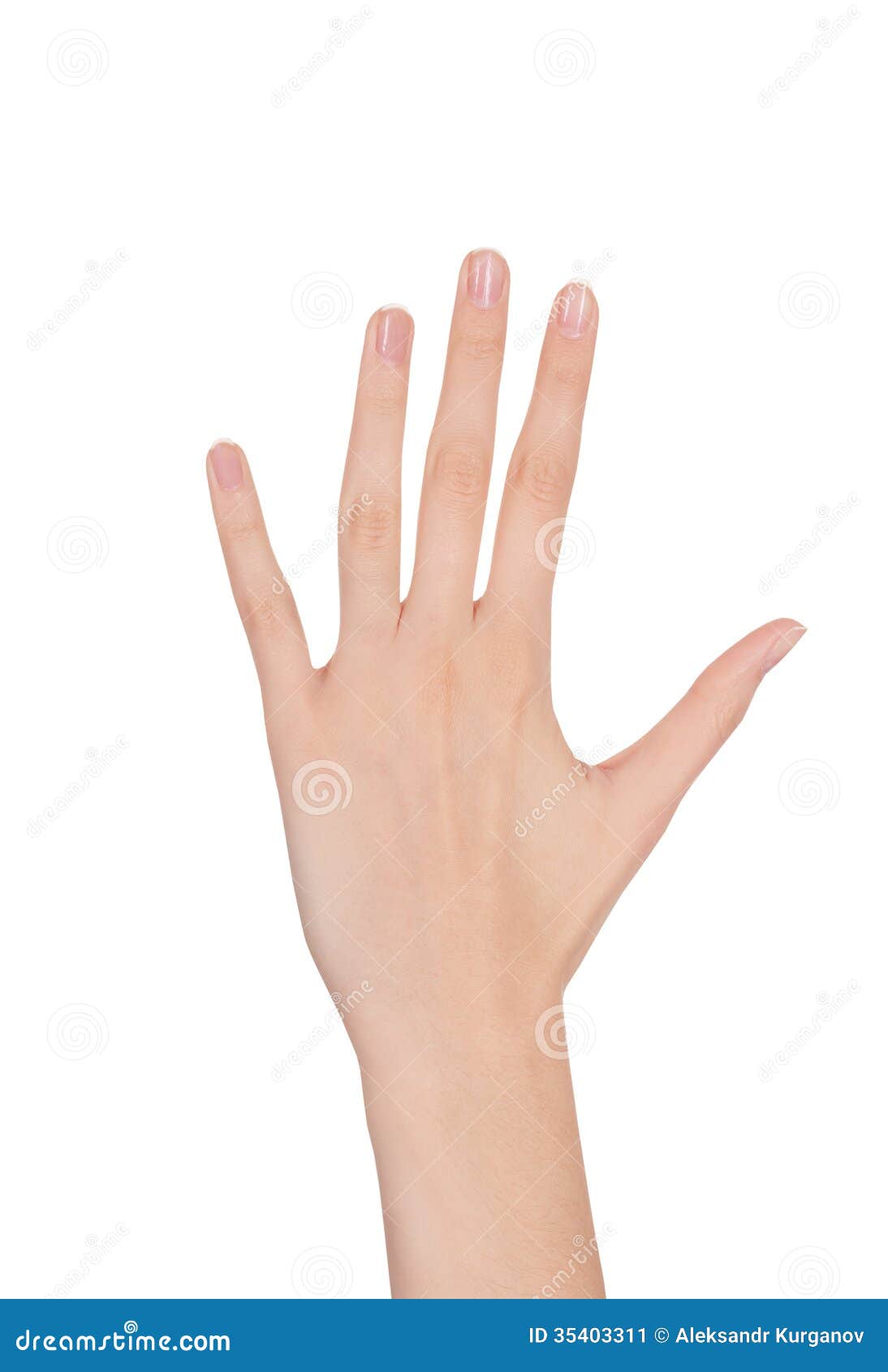 Beauty Woman Hand Over White Stock Image - Image of five, healthy: 35403311