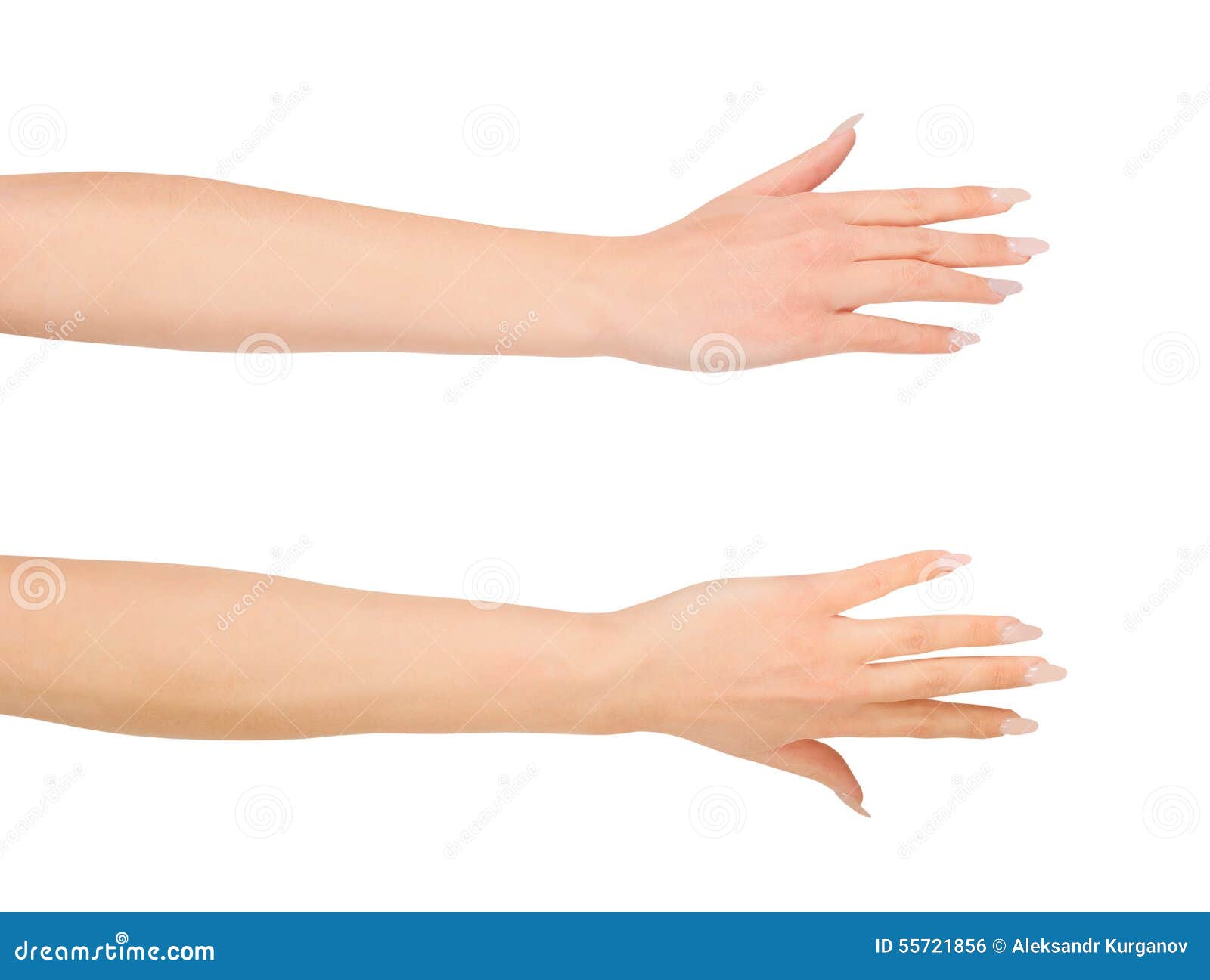 Beauty Woman Hand Over White Stock Photo - Image of gesturing, gesture ...