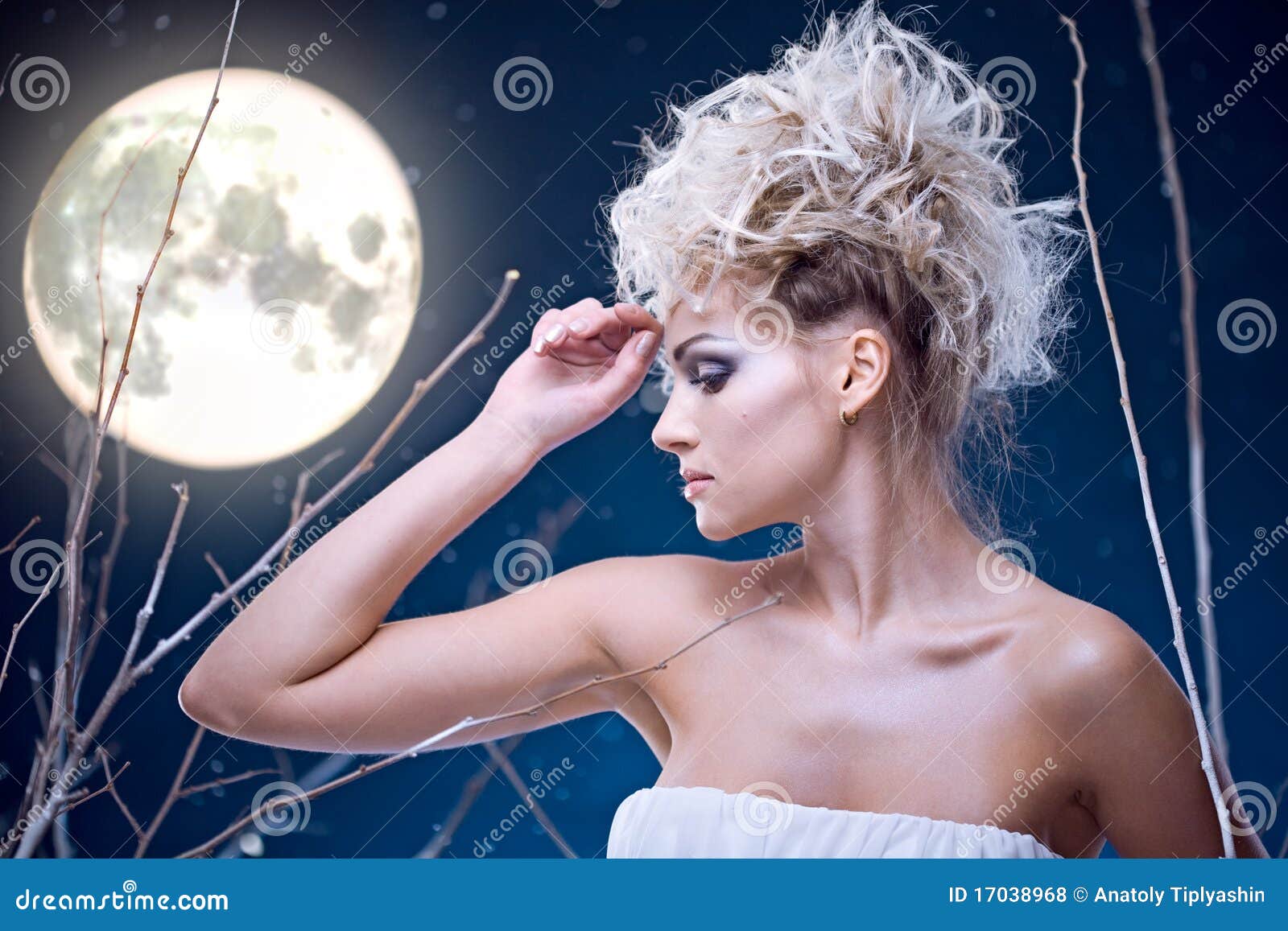Beauty woman under moon stock photo. Image of christmas - 17038968