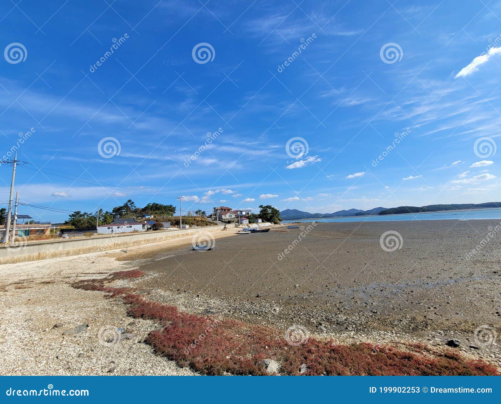 Beautyful, Sky, Sea, Weather, Blue Stock Image - Image of shore, tree ...