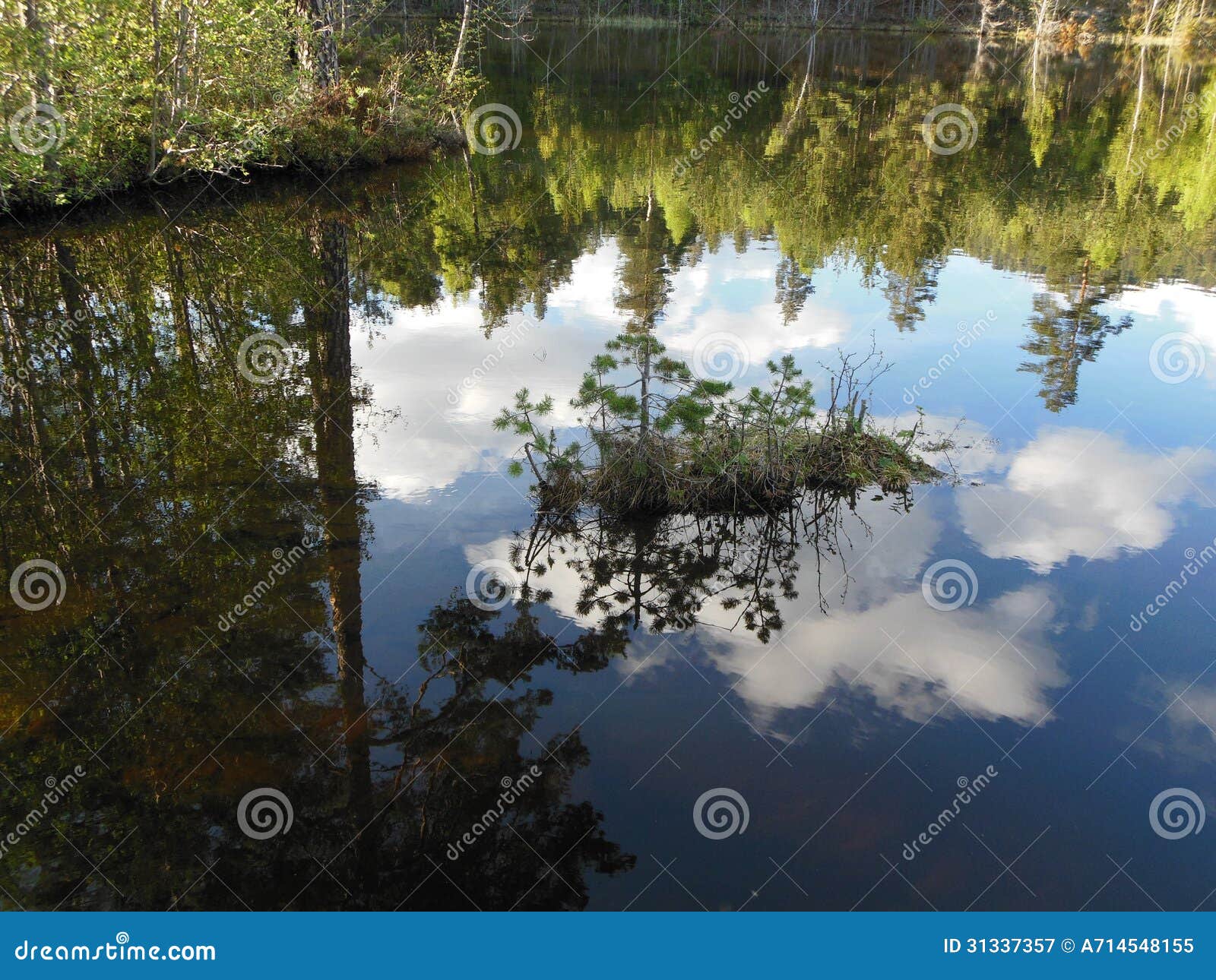 Beautyfull Reflection on Lake Stock Image - Image of nature, mountains ...