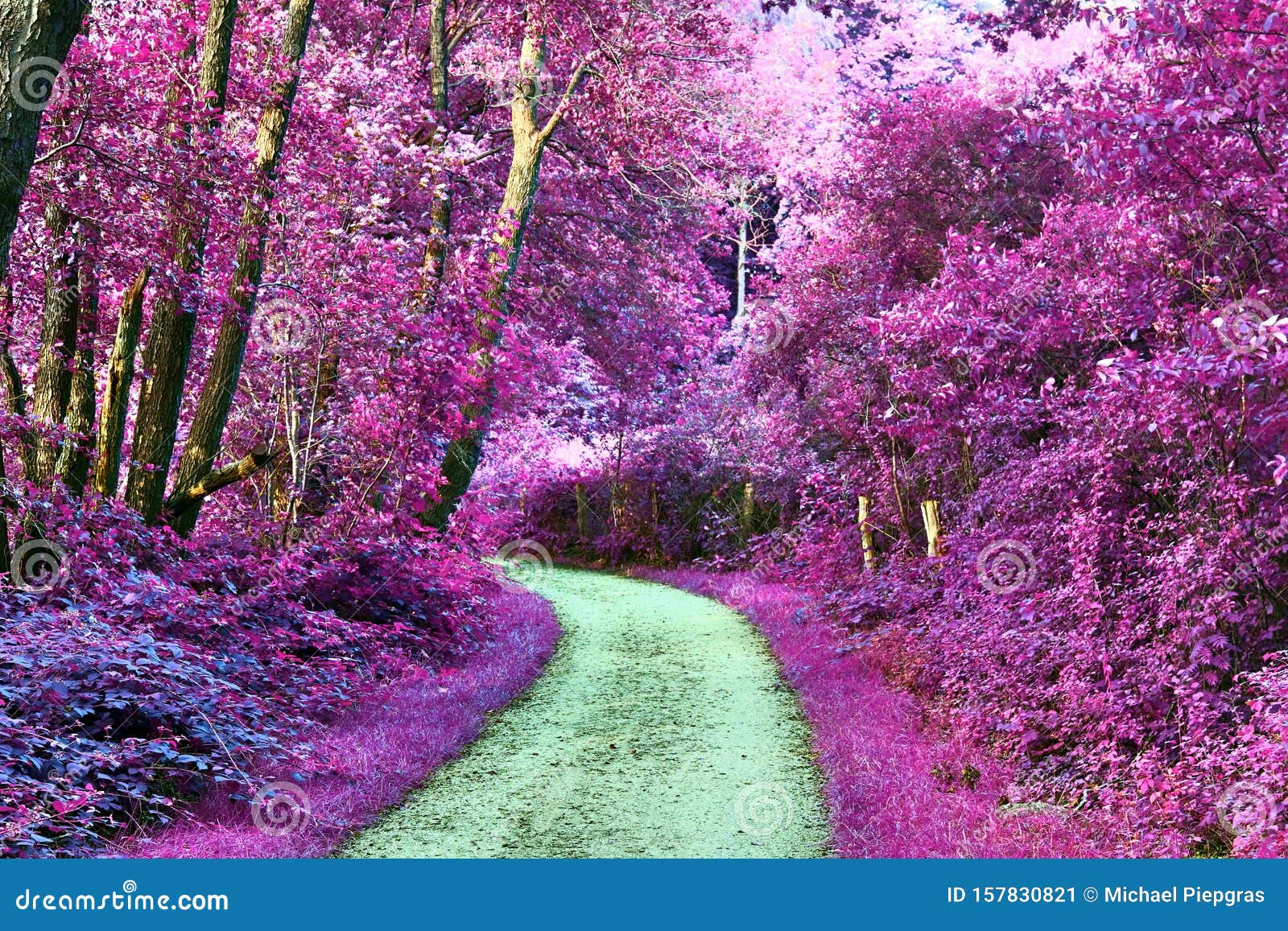 Beaux ClichÃ©s Infrarouges Roses Et Violets De Paysages Ruraux En ...
