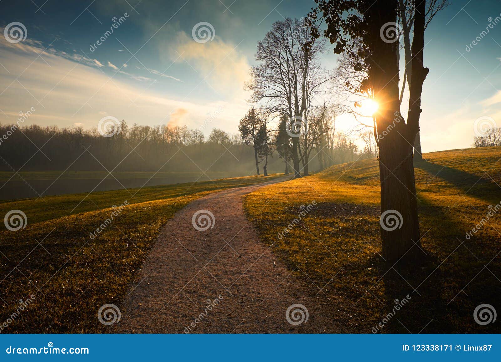 Beaux Rayons De Soleil De Parc De Chemin Image stock - Image du saison ...
