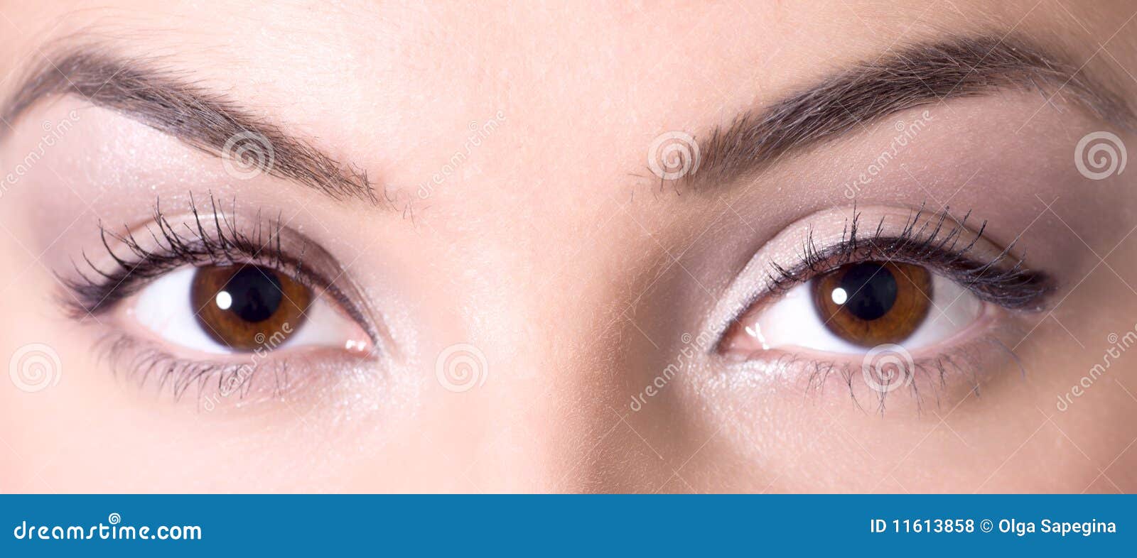 Beaux yeux bruns photo stock. Image du curieux, beau - 11613858