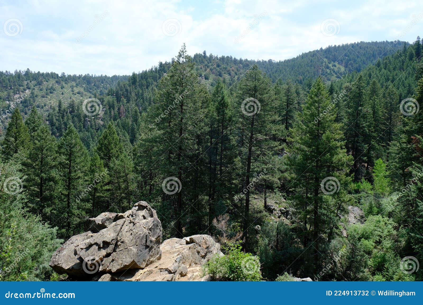 Beaver Brook Trail in Colorado Stock Photo - Image of hiking, genesee ...