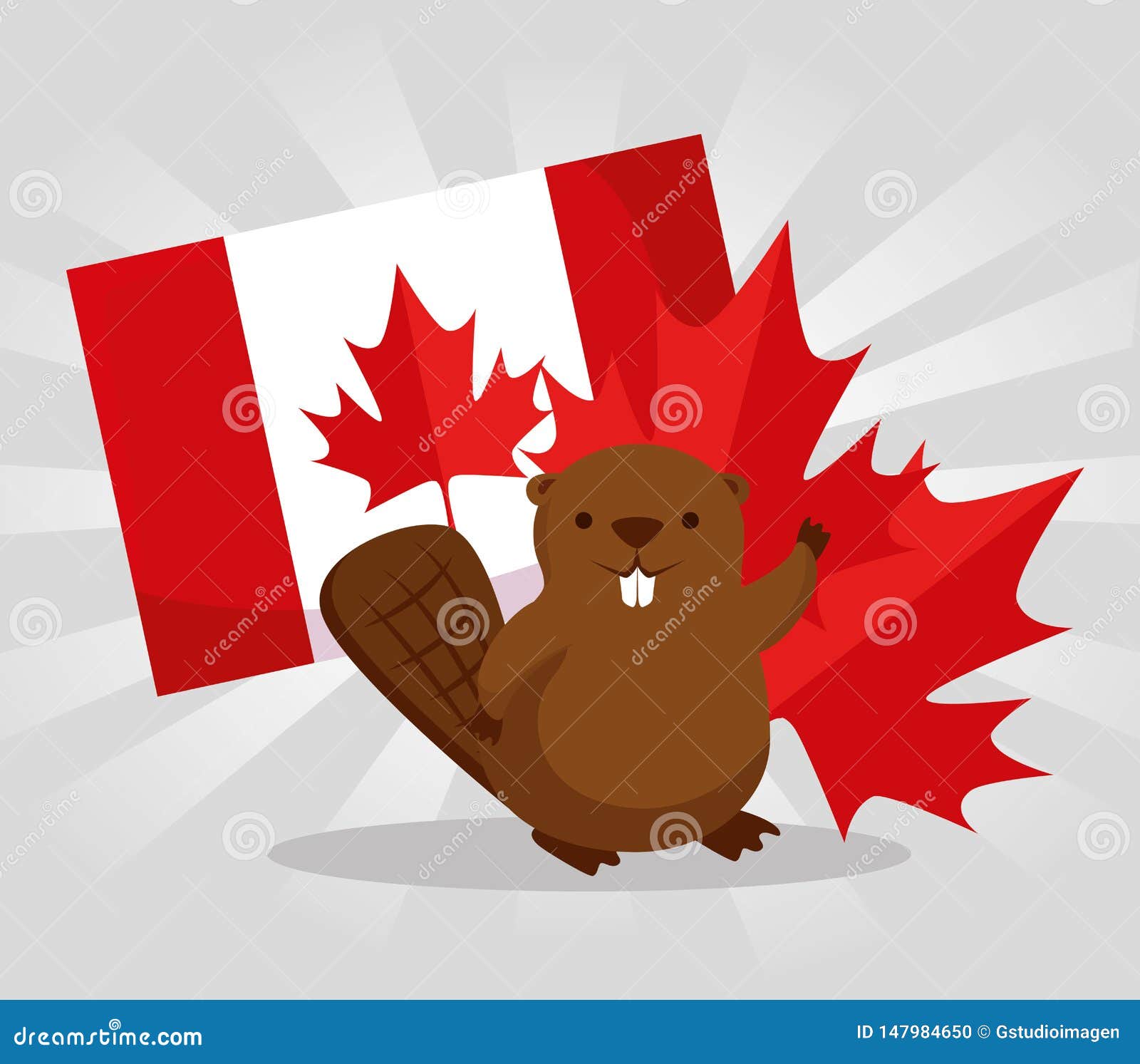 Beaver with Canada Flag and Leaf To Celebration Holiday Stock ...