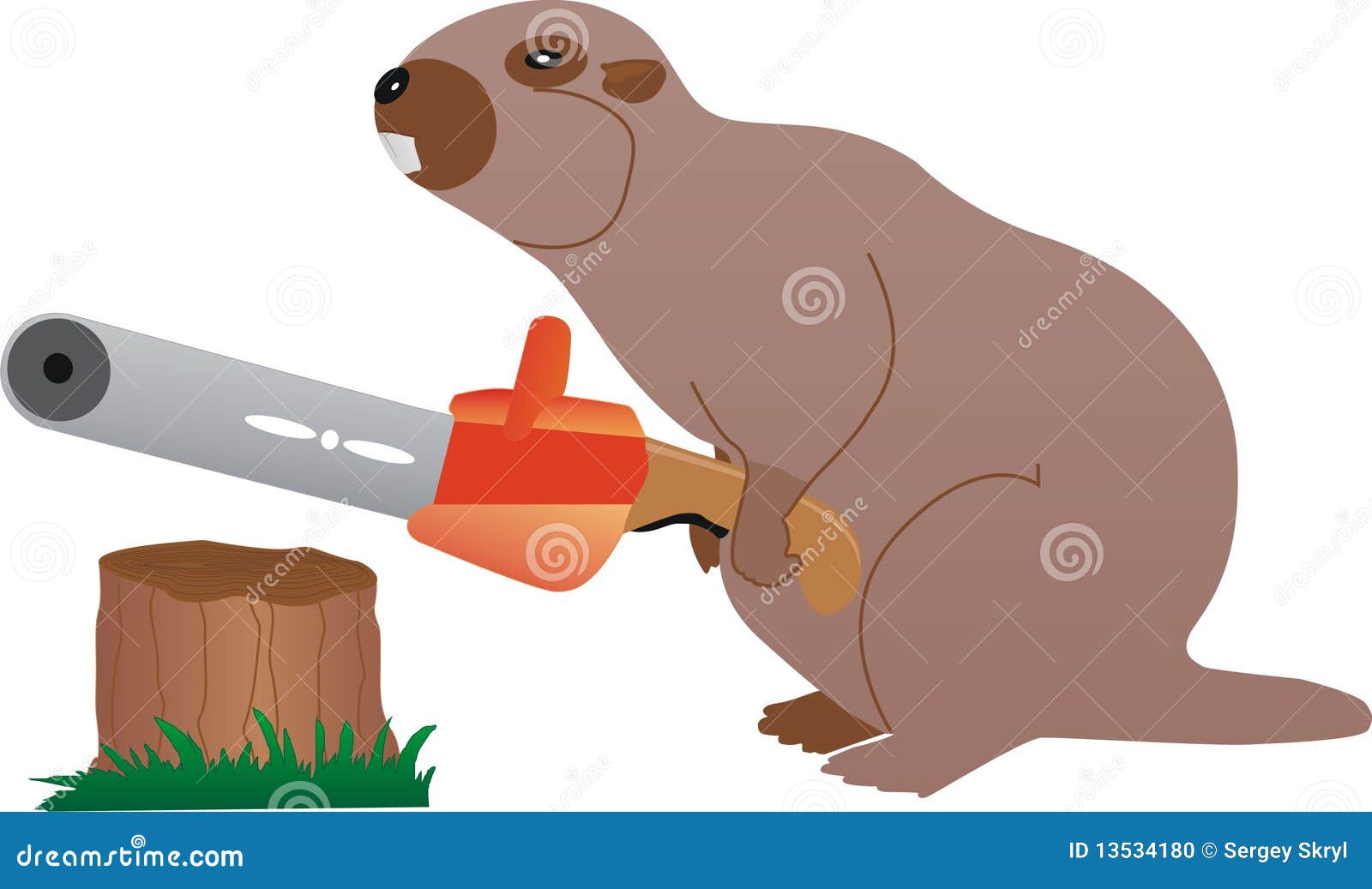 Beaver Rodent Mammal. Scratch Board Imitation. Black And White Hand ...