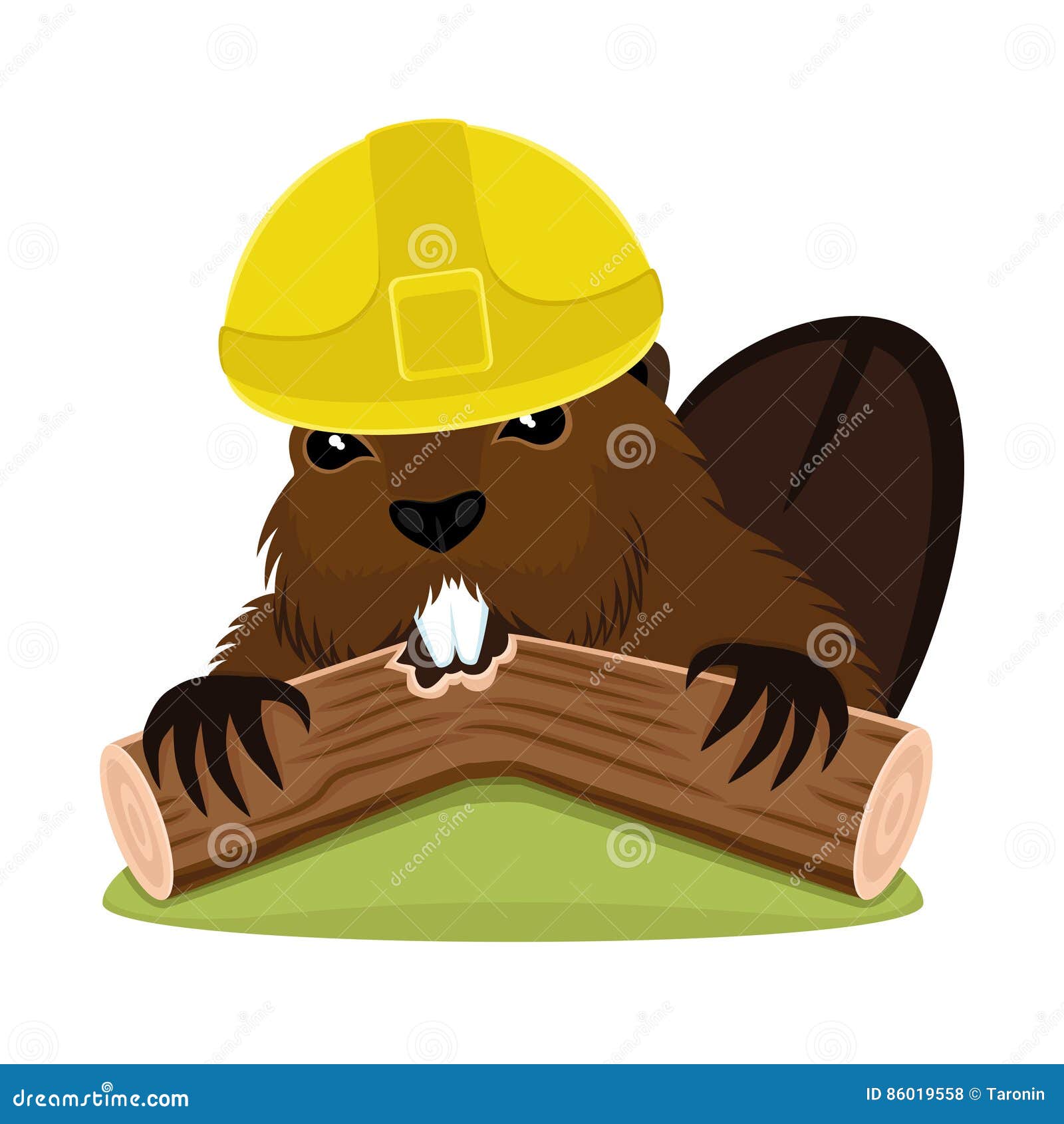 Beaver Construction Builder With Hummer And Nails Vector Black And ...