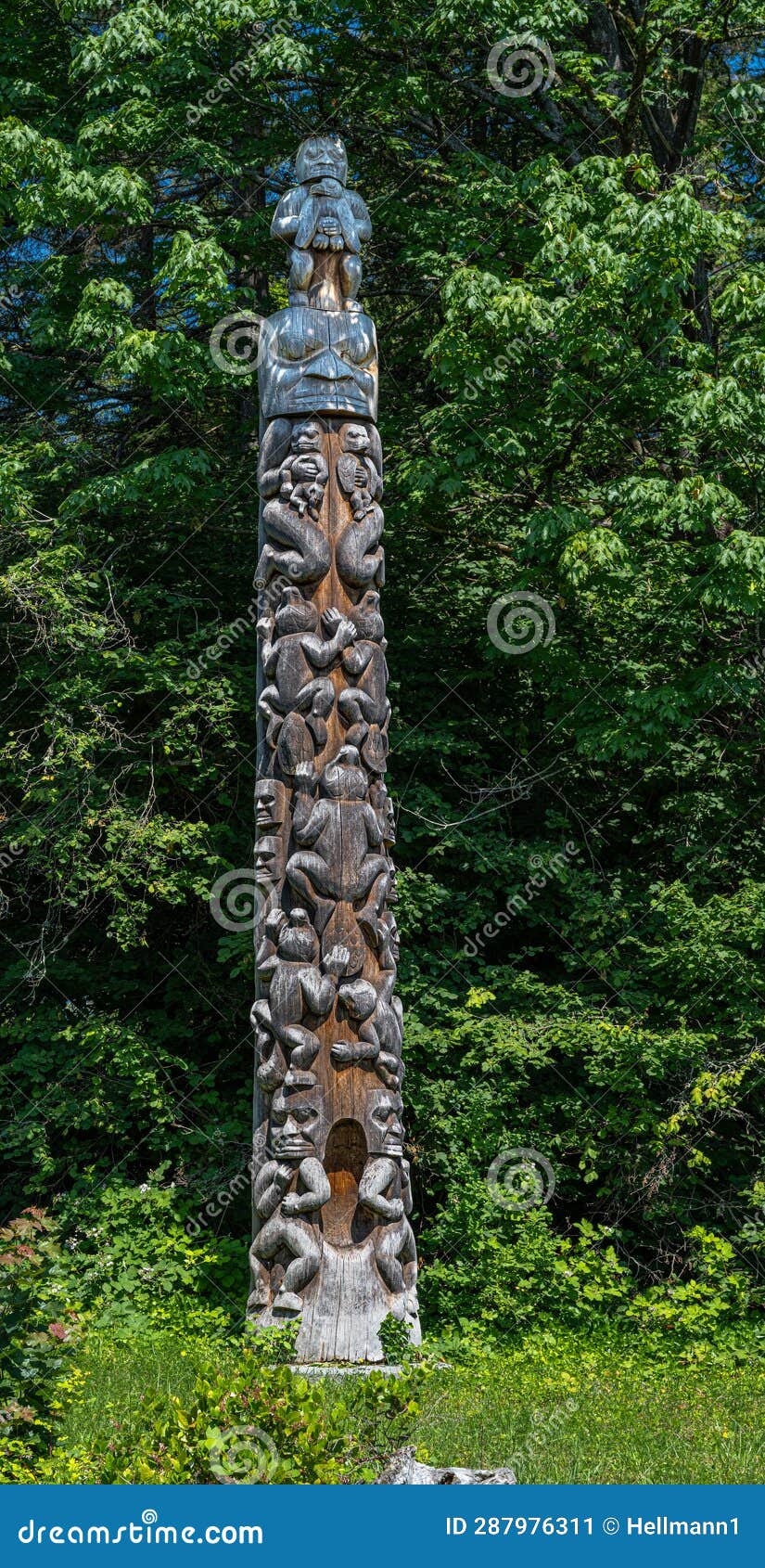 Beaver Crest Pole stock image. Image of skies, wood - 287976311