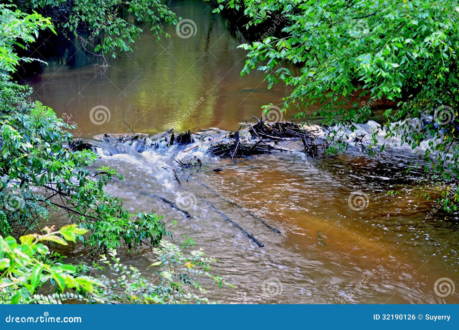 Small Stream Construction